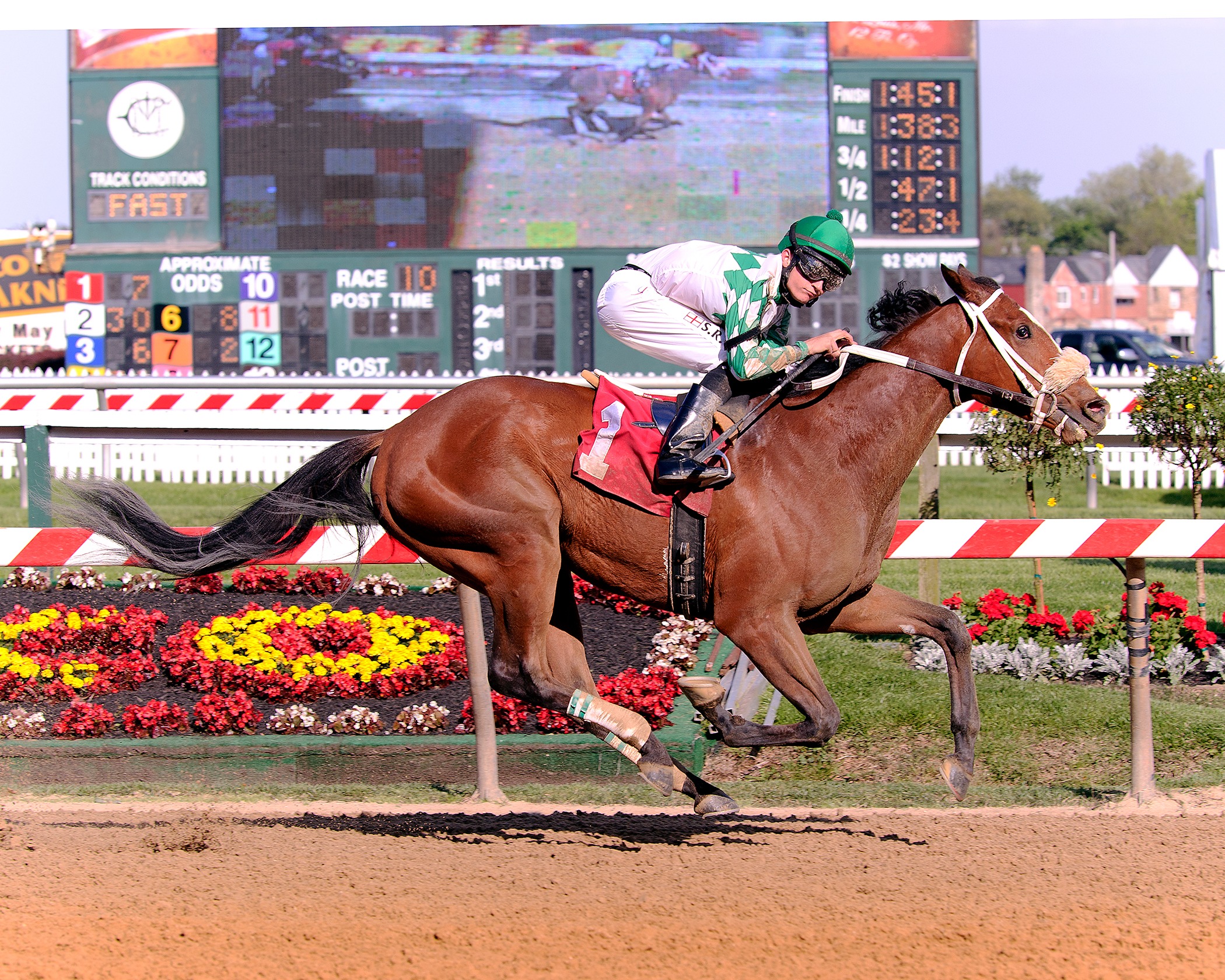 Preakness (G1) Prep Federico Tesio returns to Pimlico - Past The Wire