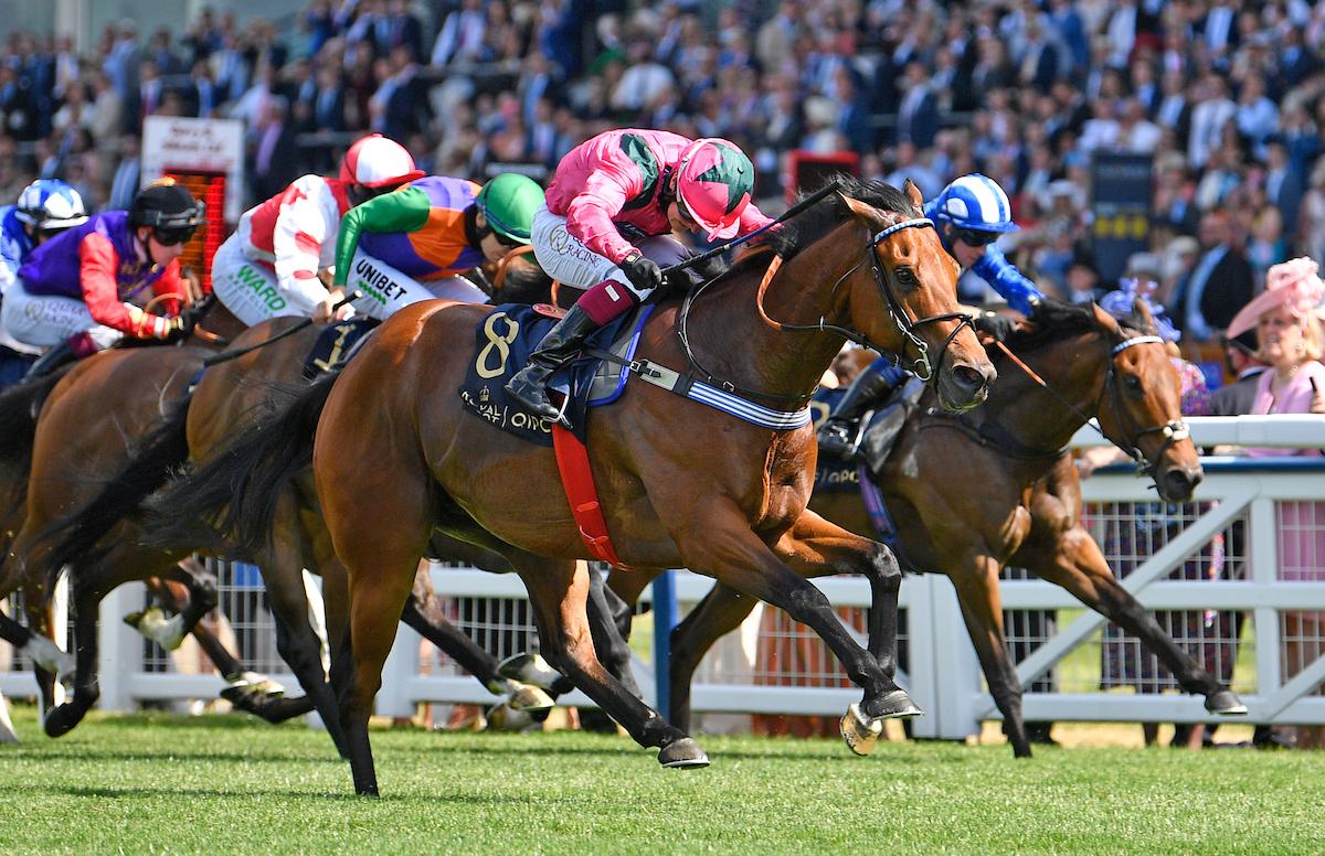 Poetic Flare delivers another Group 1 for Jim Bolger and Kevin Manning ...