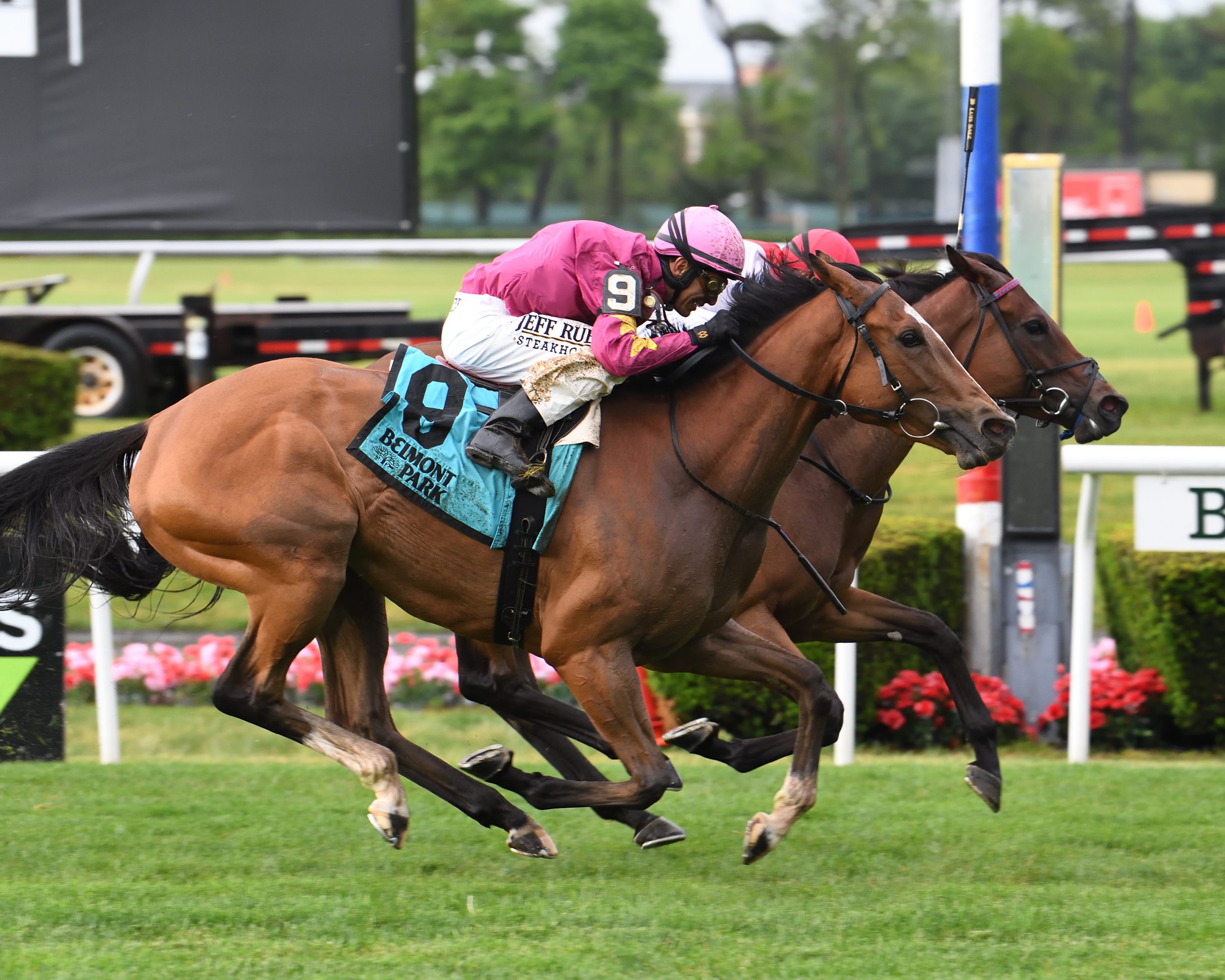Mean Mary fends off Thunder Nights in thrilling finish to repeat in G2 ...