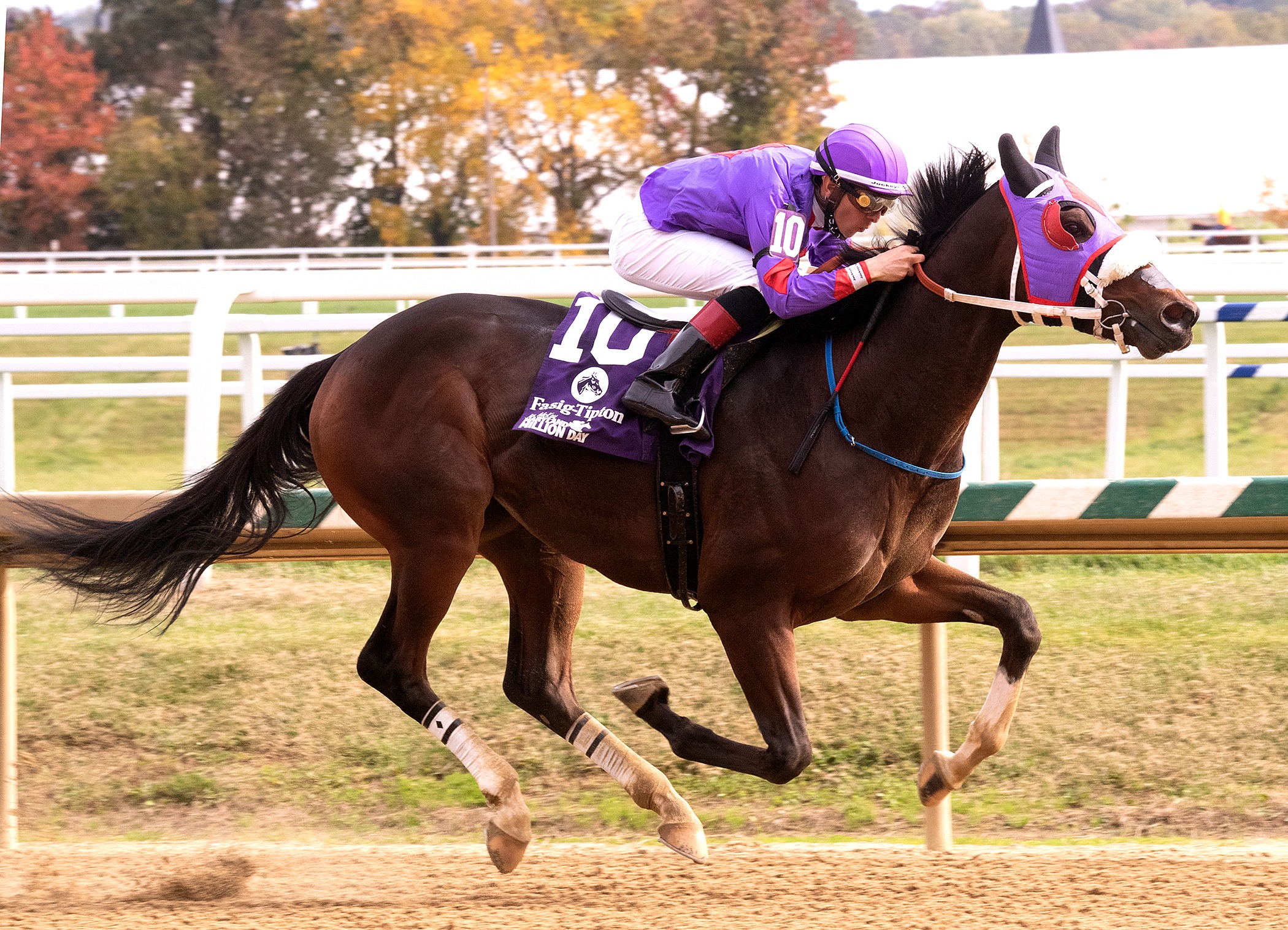 Stakes-Quality Feature spices up Sunday Card at Pimlico - Past The Wire