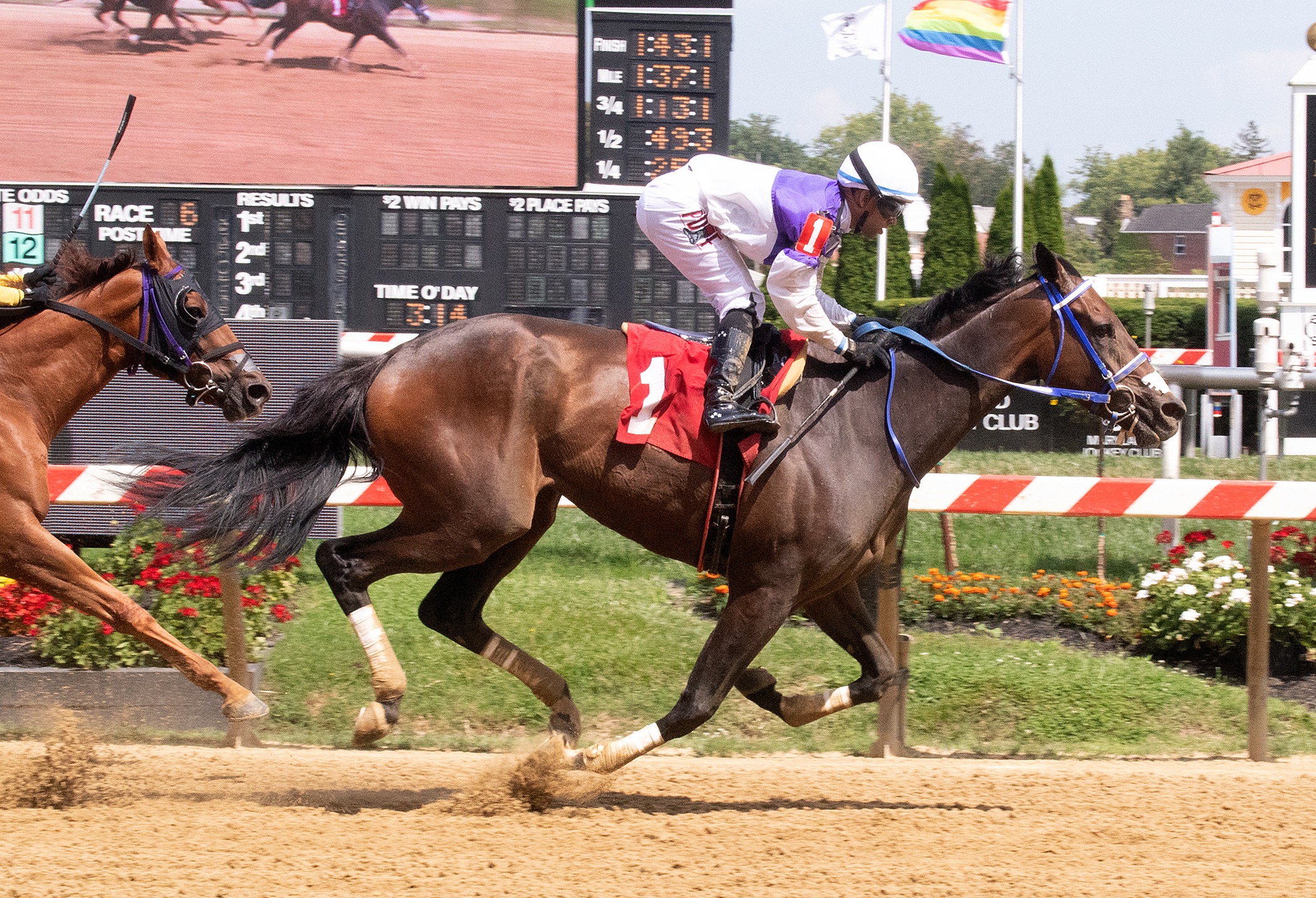 Harpers First Ride Nominated for Deputed Testamony - Past The Wire