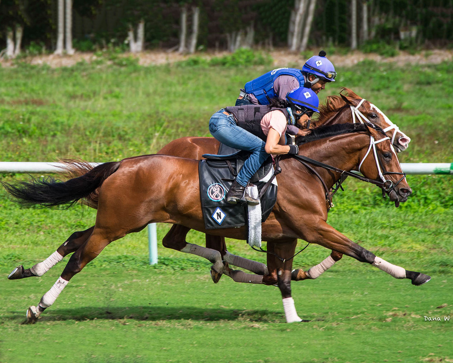 Troy Levy, Tropical Racing and Circle 8 Ranch doing things the right ...