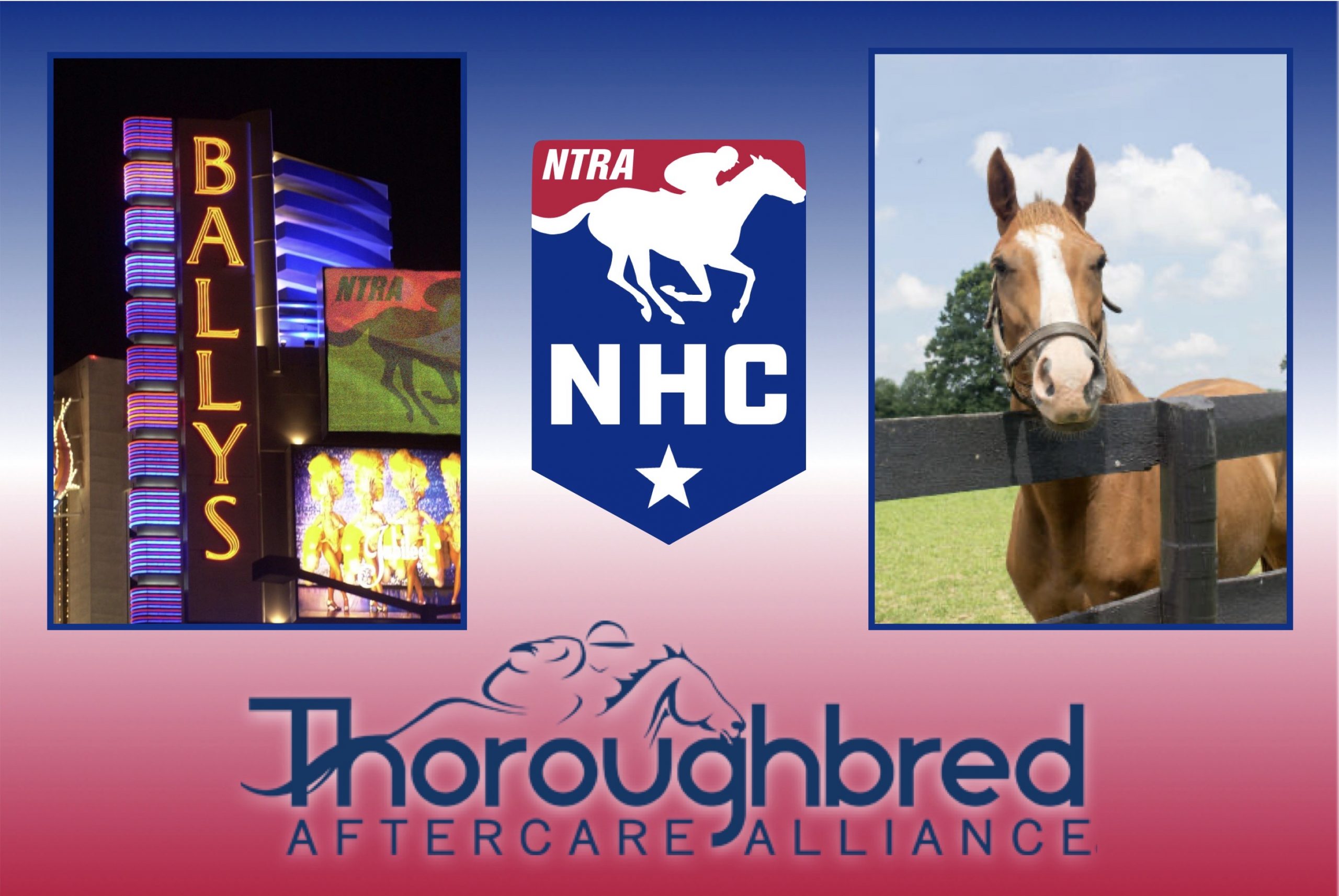 TAA to be On-Site at the NTRA National Horseplayers Championship - Past The Wire