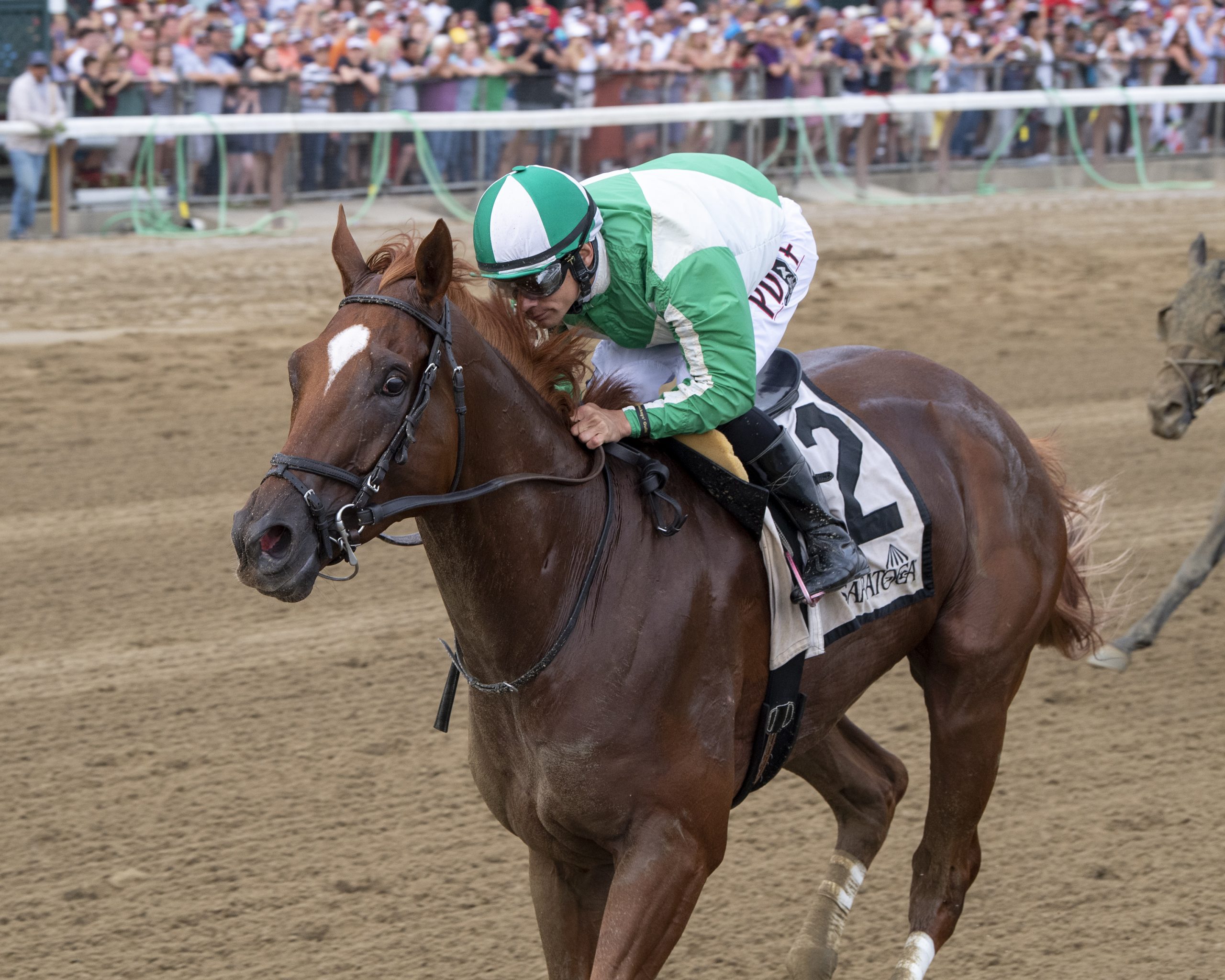 Mr. Buff returns as highweight in Evan Shipman Handicap - Past The Wire