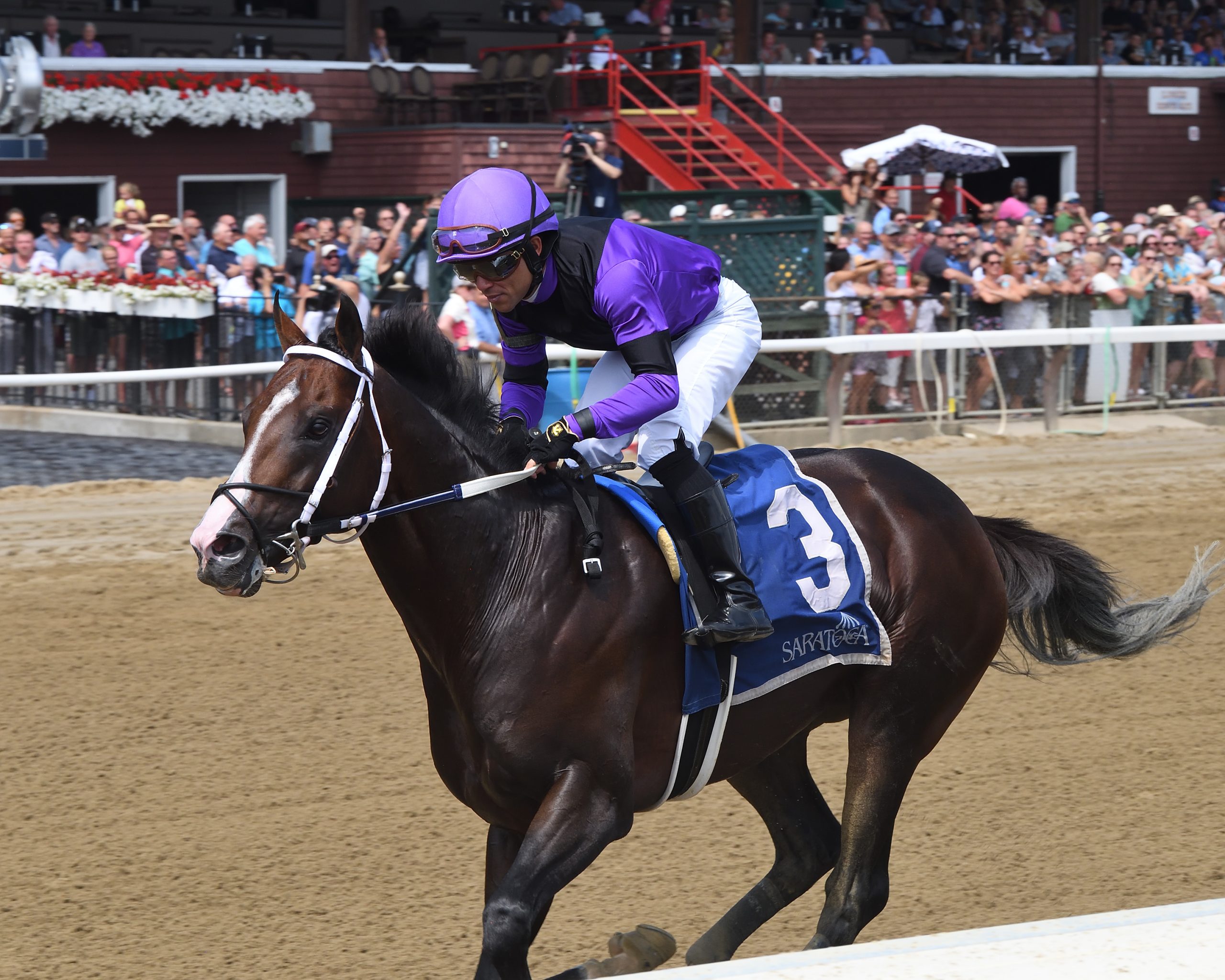 Sea Foam sails gate to wire in $100K Evan Shipman Handicap - Past The Wire