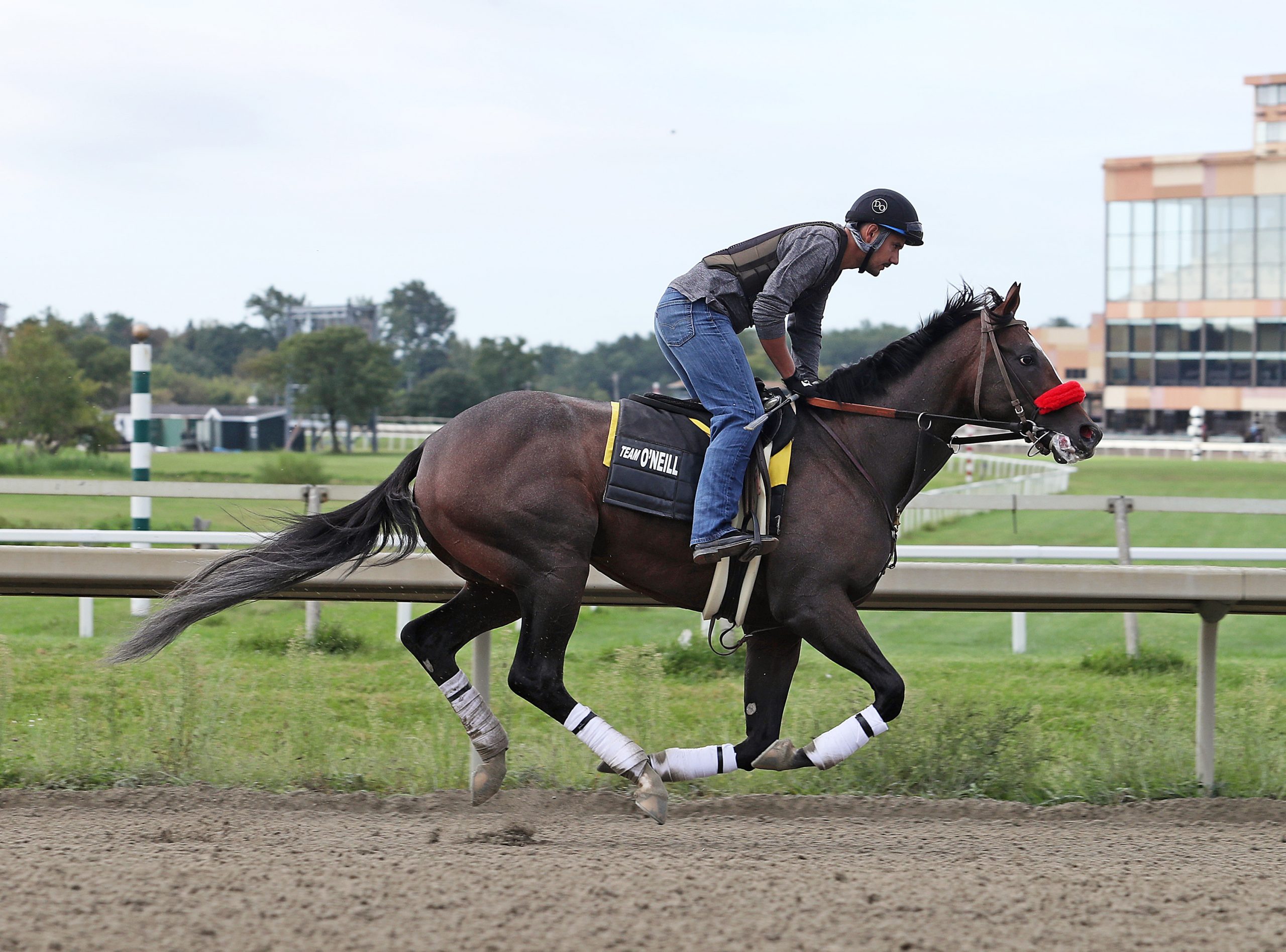 Fierce field of 10 set for G1 Pennsylvania Derby, Hot Rod Charlie ...