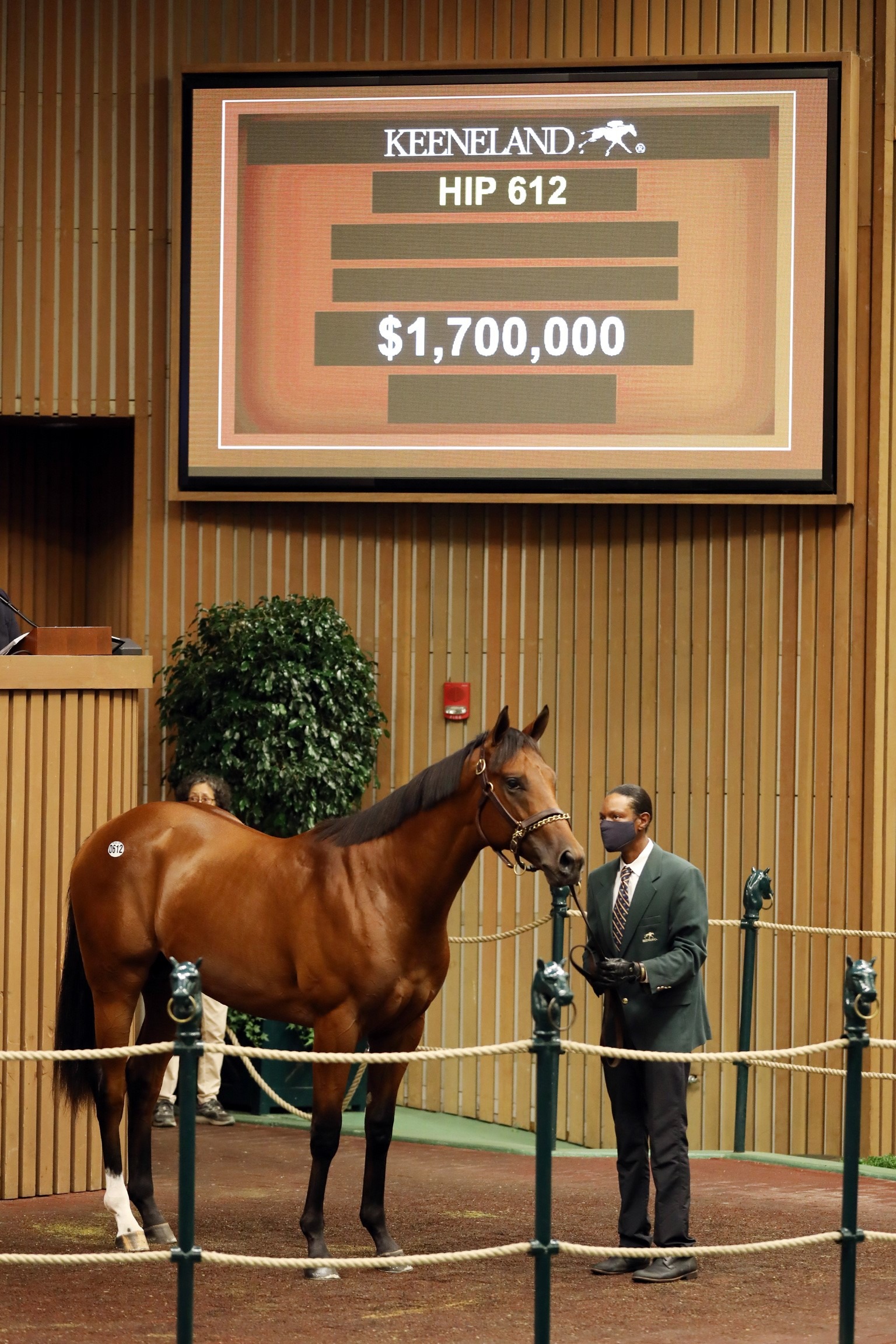 Yearlings by Young Sires Spark Brisk Trade, Produce $1.7 Million Sale ...
