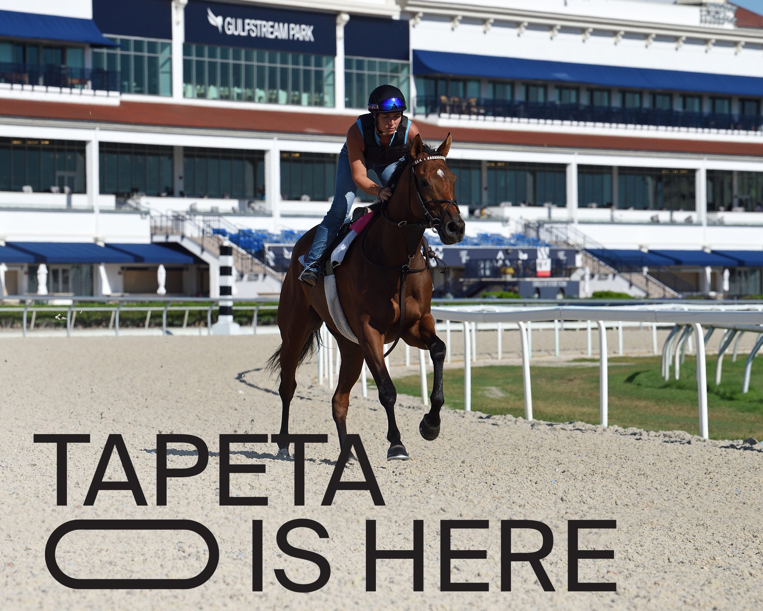 Gulfstream Park invests in Tapeta track - Past The Wire