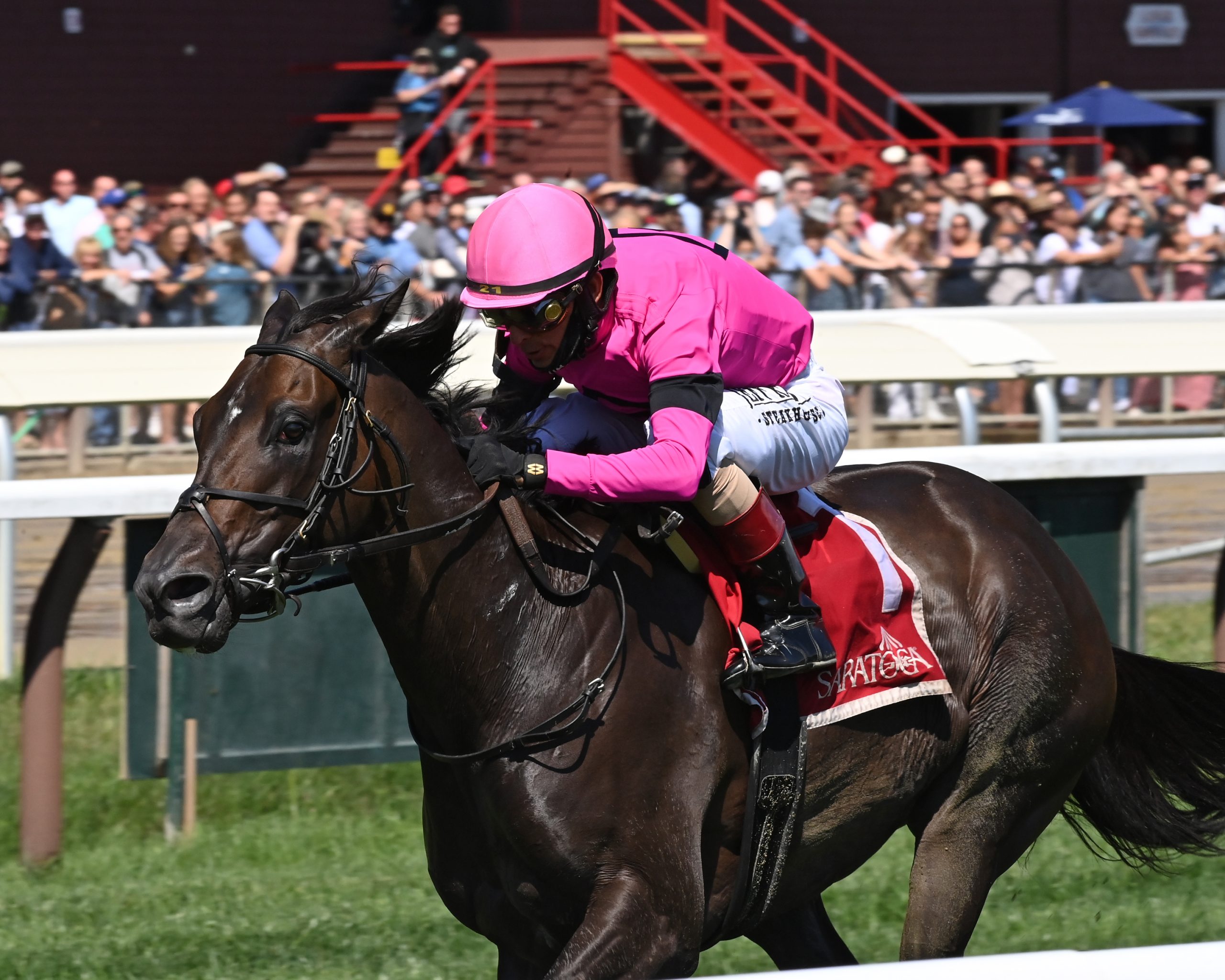 Tell Your Daddy announces presence by wiring G2 Bernard Baruch field ...