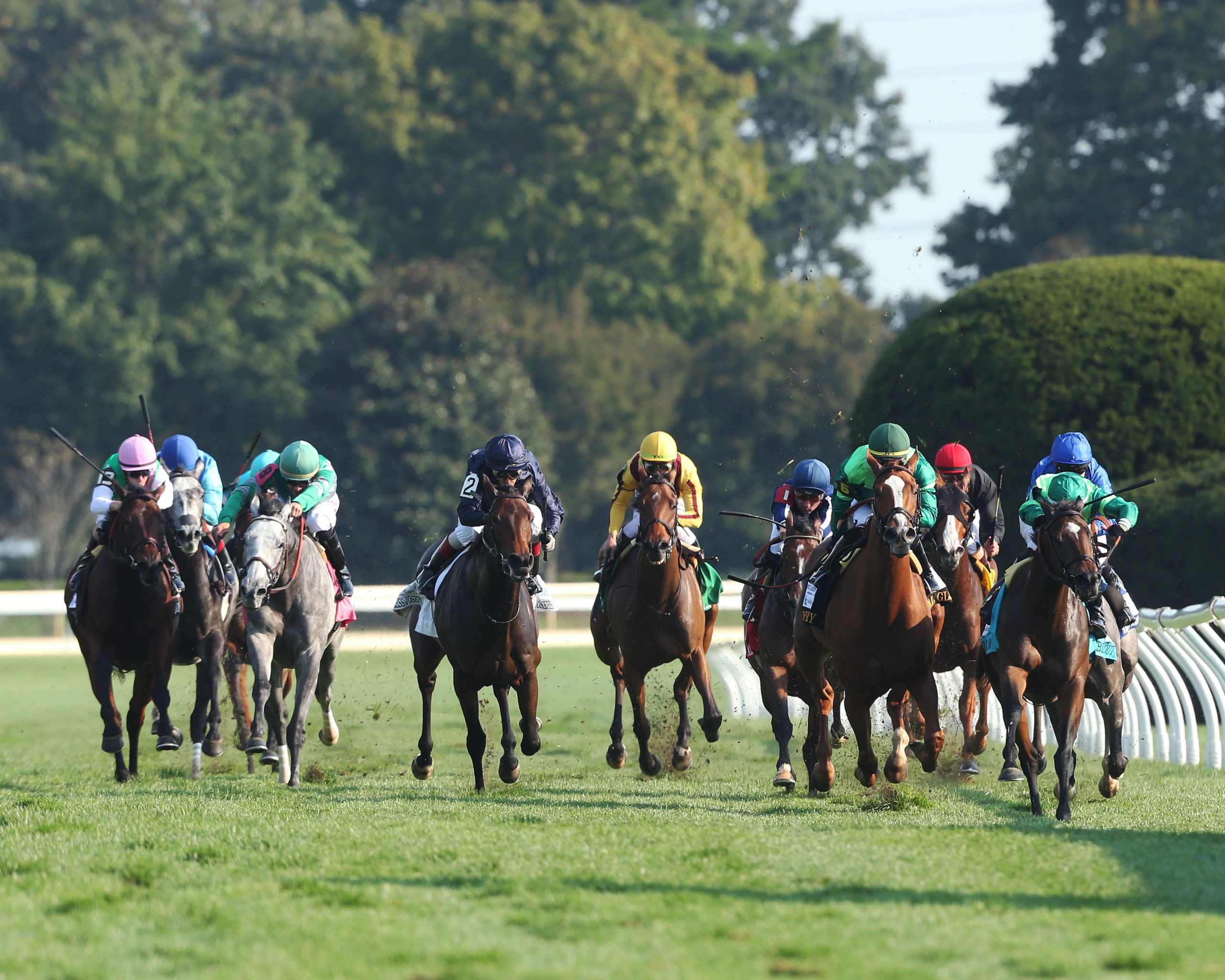 Blowout (GB) holds off Regal Glory in First Lady Presented by UK ...