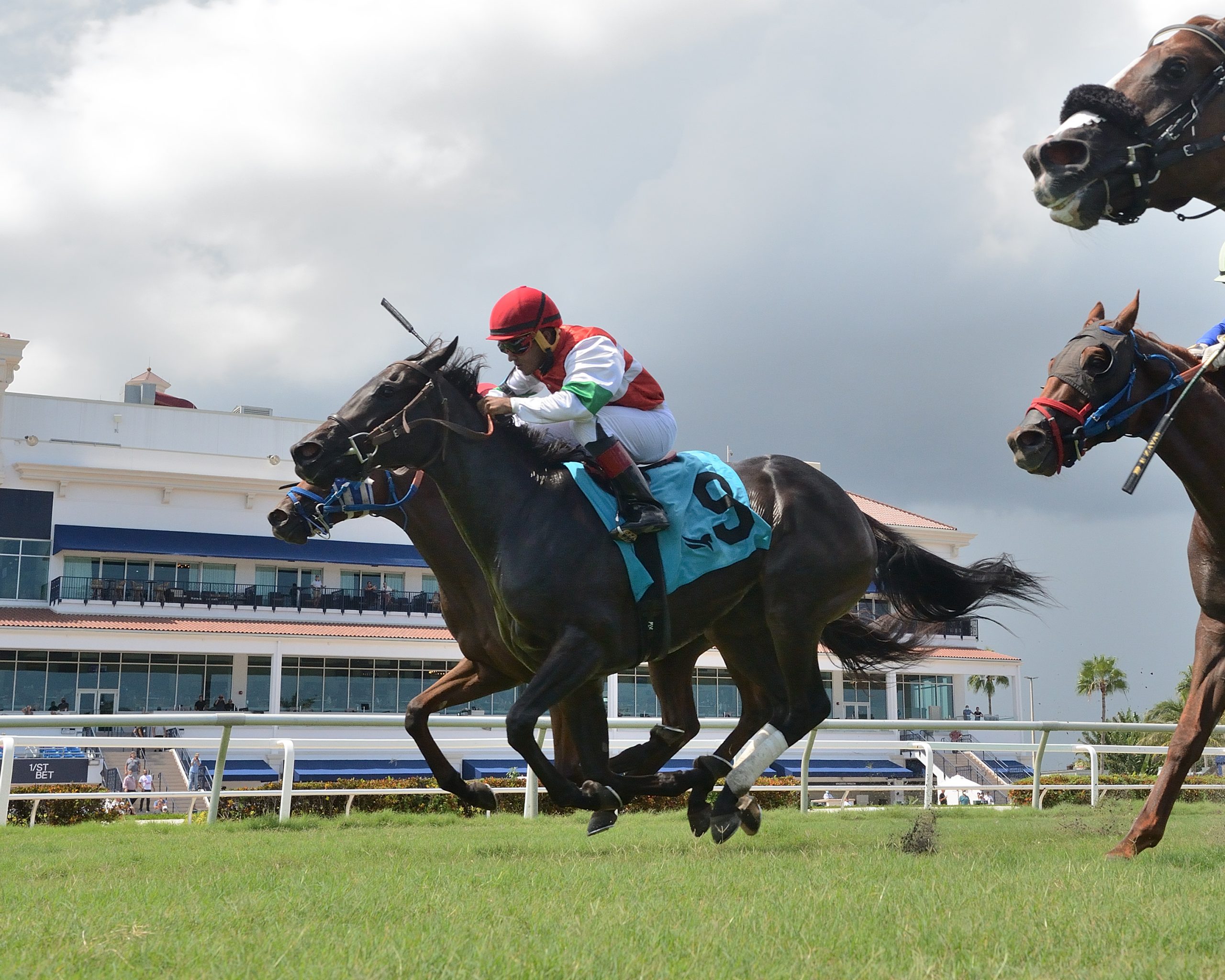 Stakes Winner Last Leaf Tests Tapeta in Sunday Feature - Past The Wire