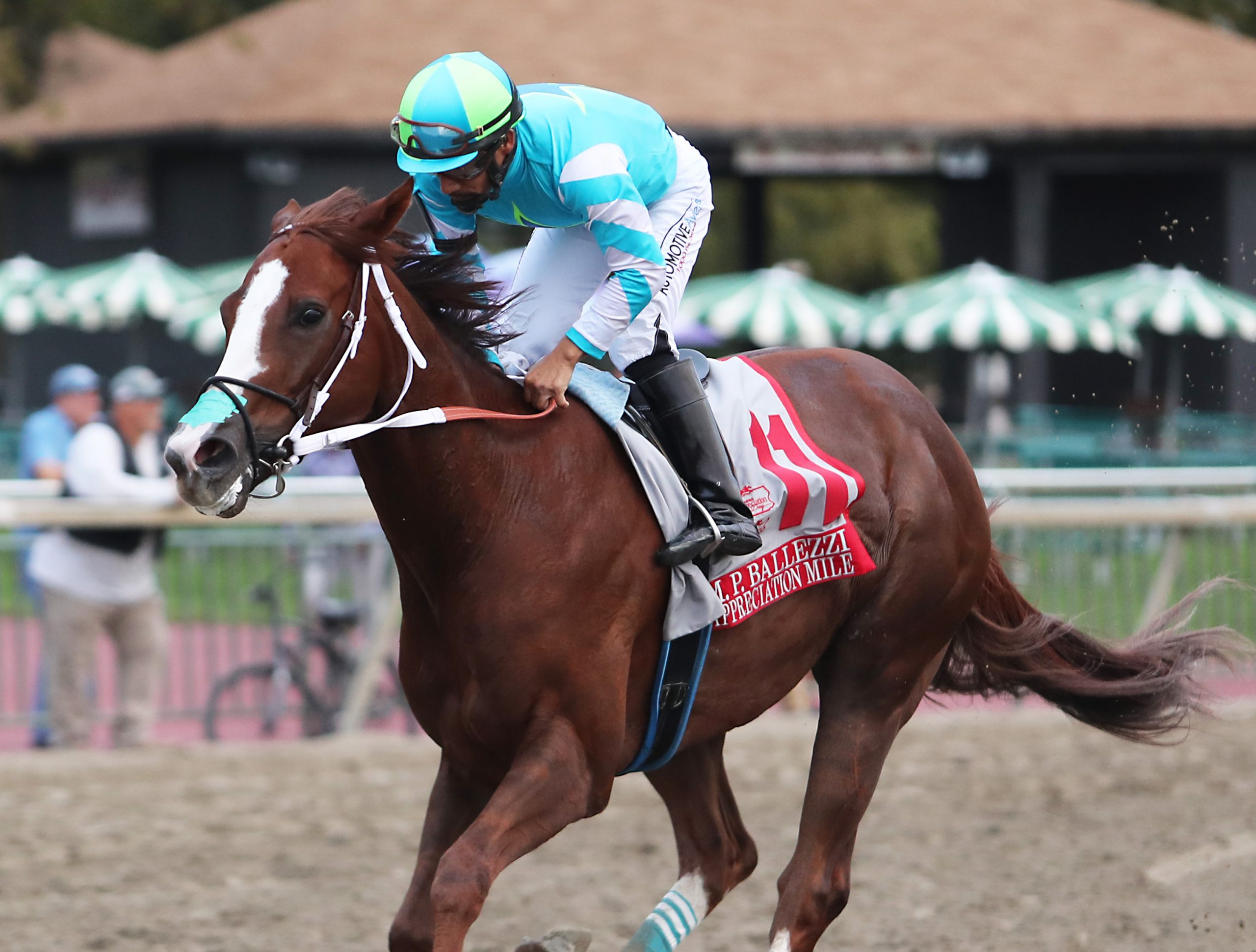 Rock On Luke rolls with a flashy turn-of-foot to wire the $100,000 M.P ...