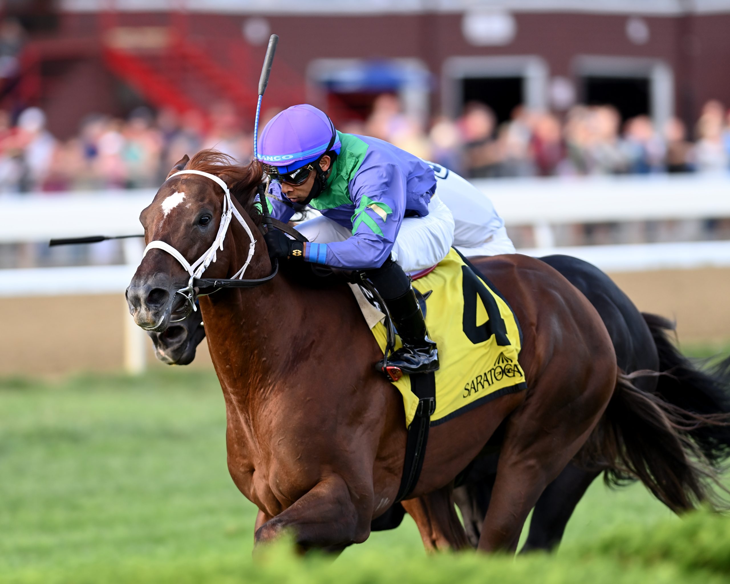 Pulsate stretches out for $100K Oyster Bay - Past The Wire