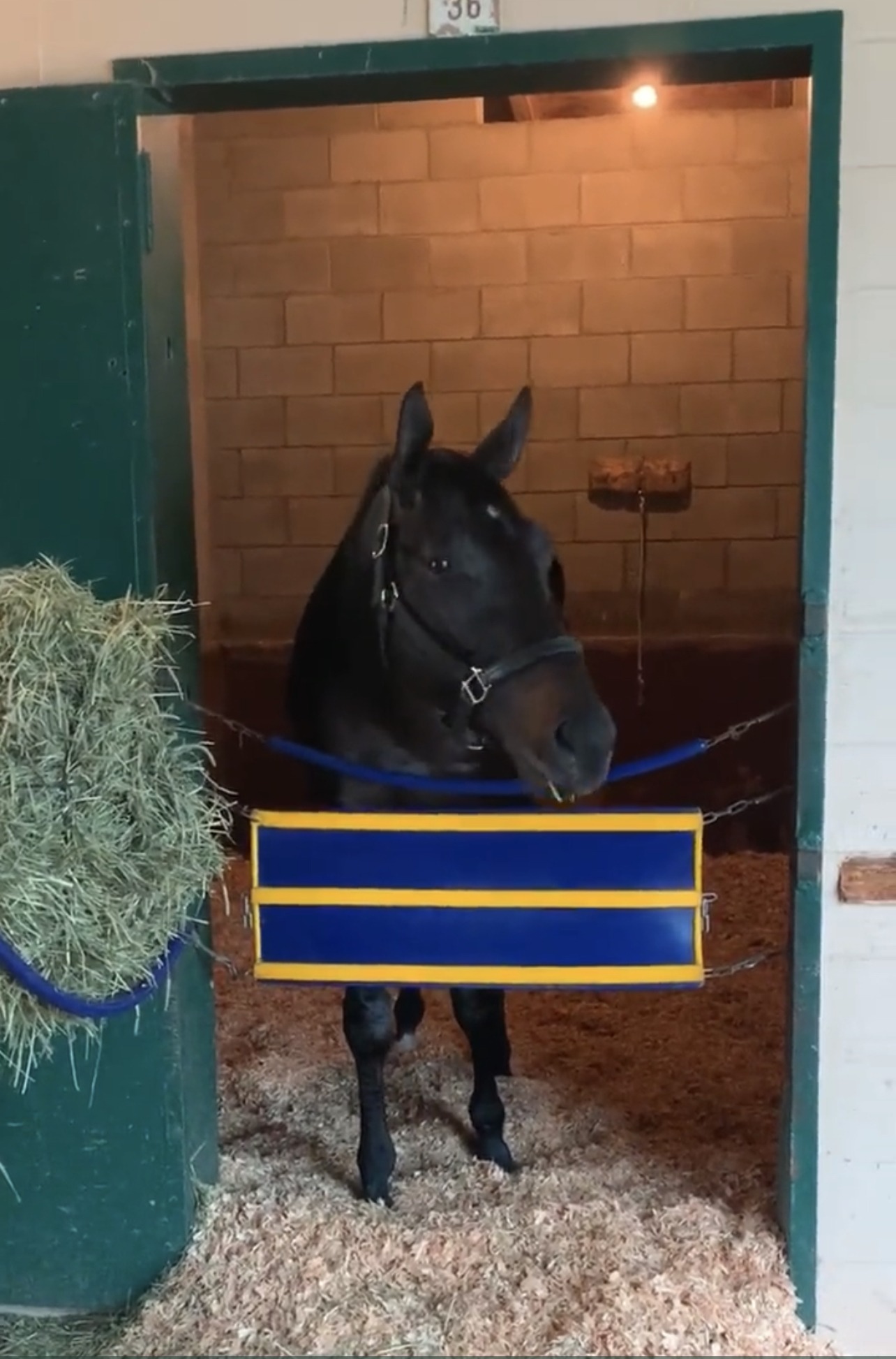 Championships are earned on the racetrack - Past The Wire