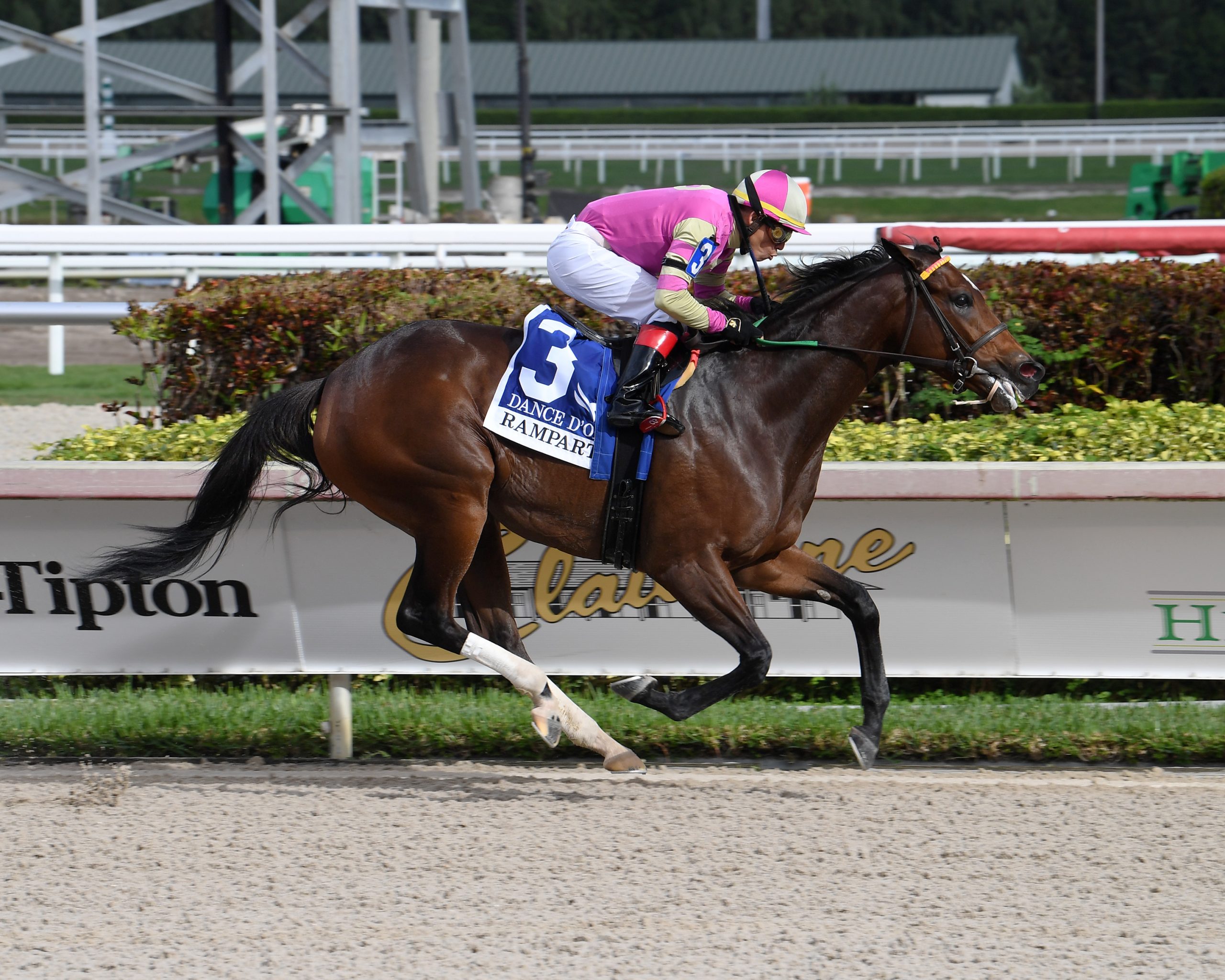 Dance d’Oro makes Front-Running Victory in Rampart - Past The Wire