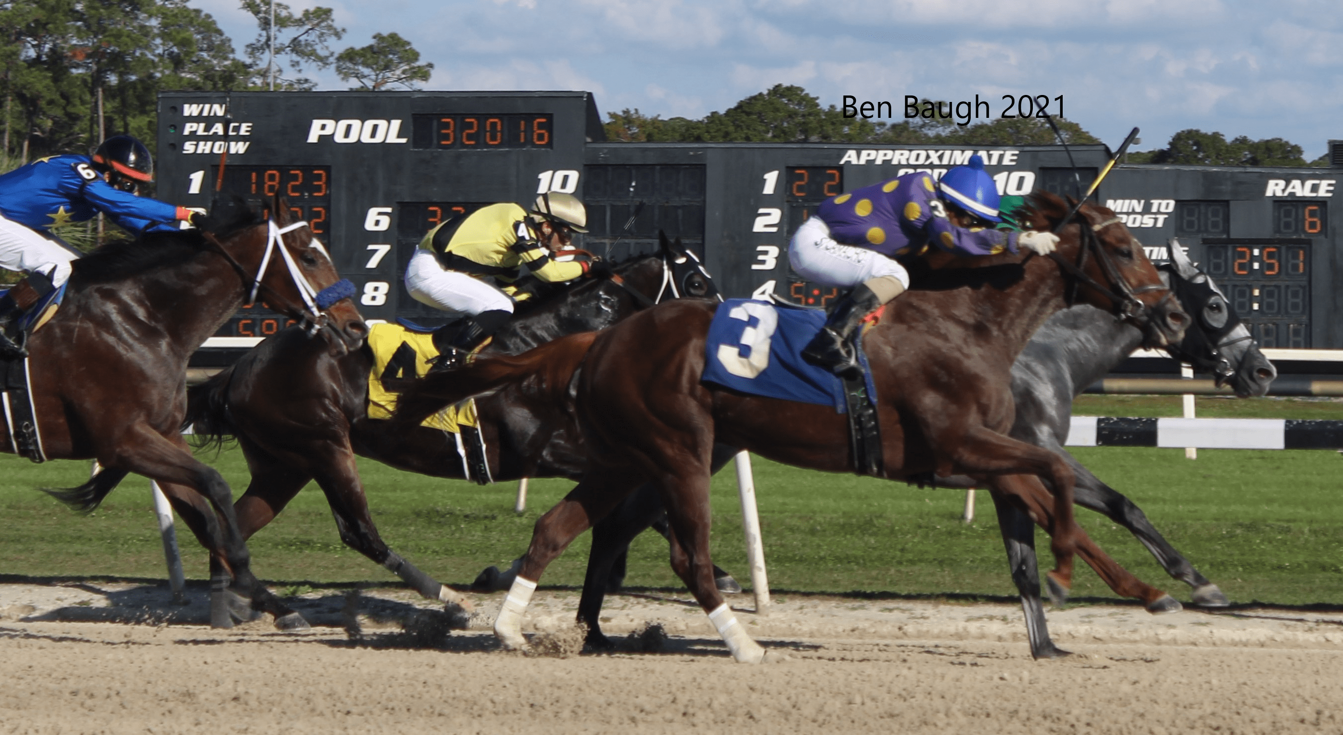 R Adios Jersey and Shivaree Score Florida Stallion Stakes - Past The Wire