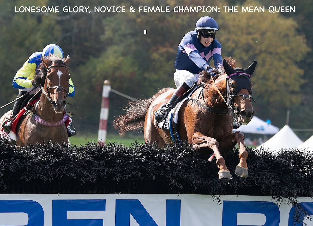 Year in Review: Keri Brion – What A Year - Past The Wire