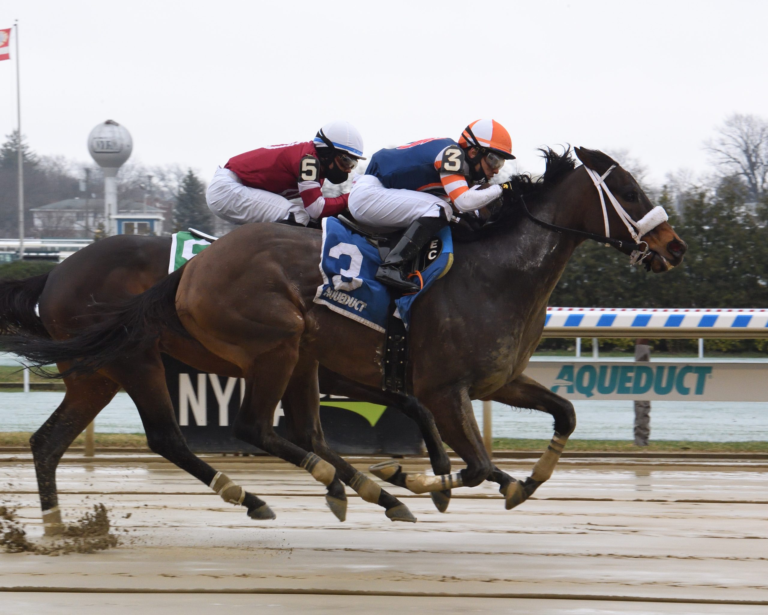 My Boy Tate looks to capture second Thunder Rumble - Past The Wire