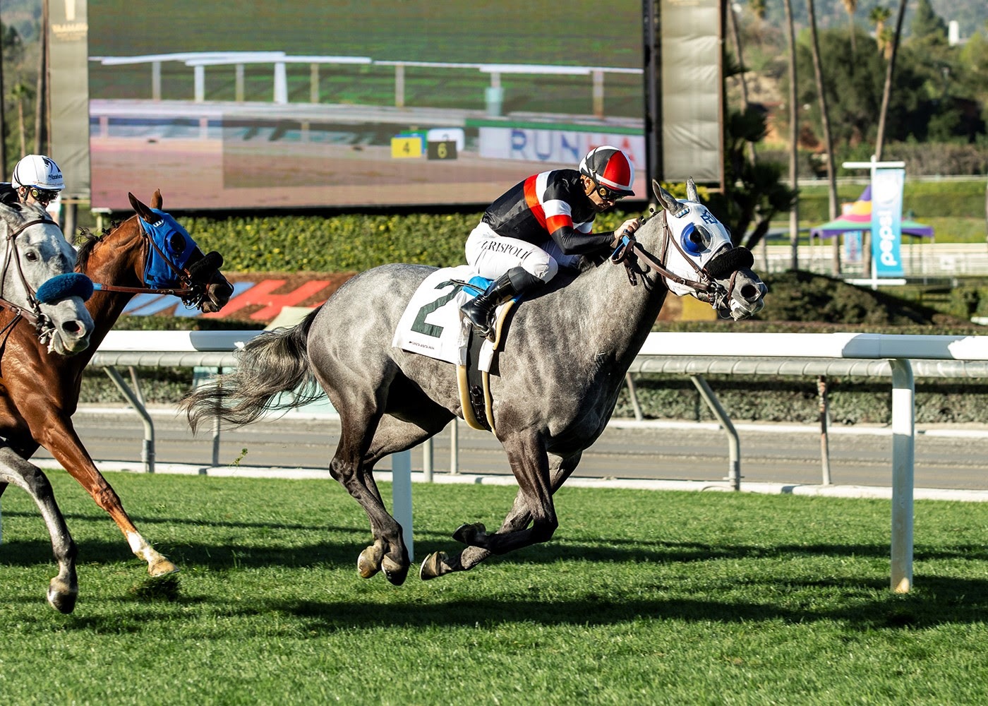 Heavily favored Tony Ann holds on to win Friday’s featured allowance ...