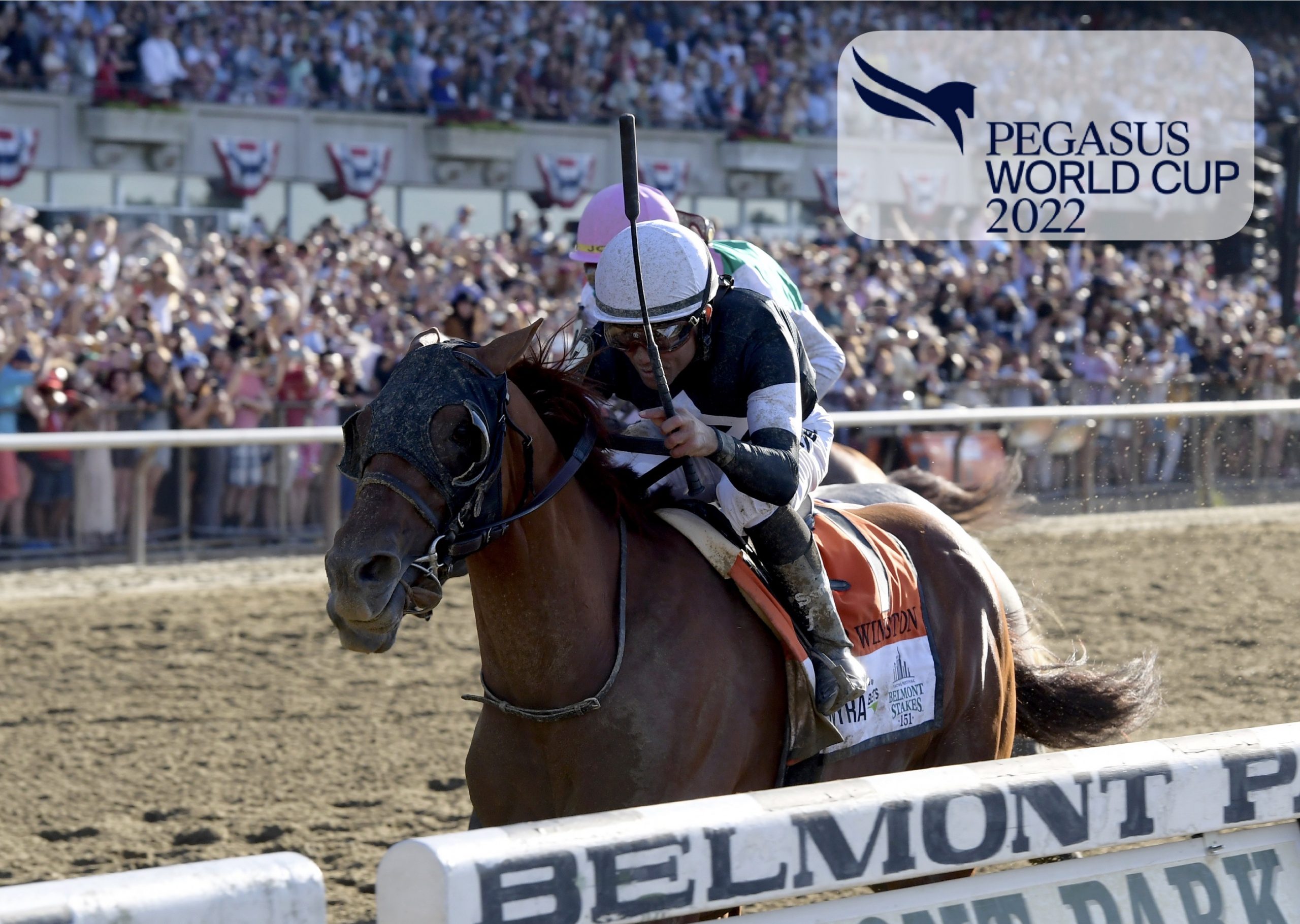 Sir Winston Breezes for Pegasus World Cup - Past The Wire