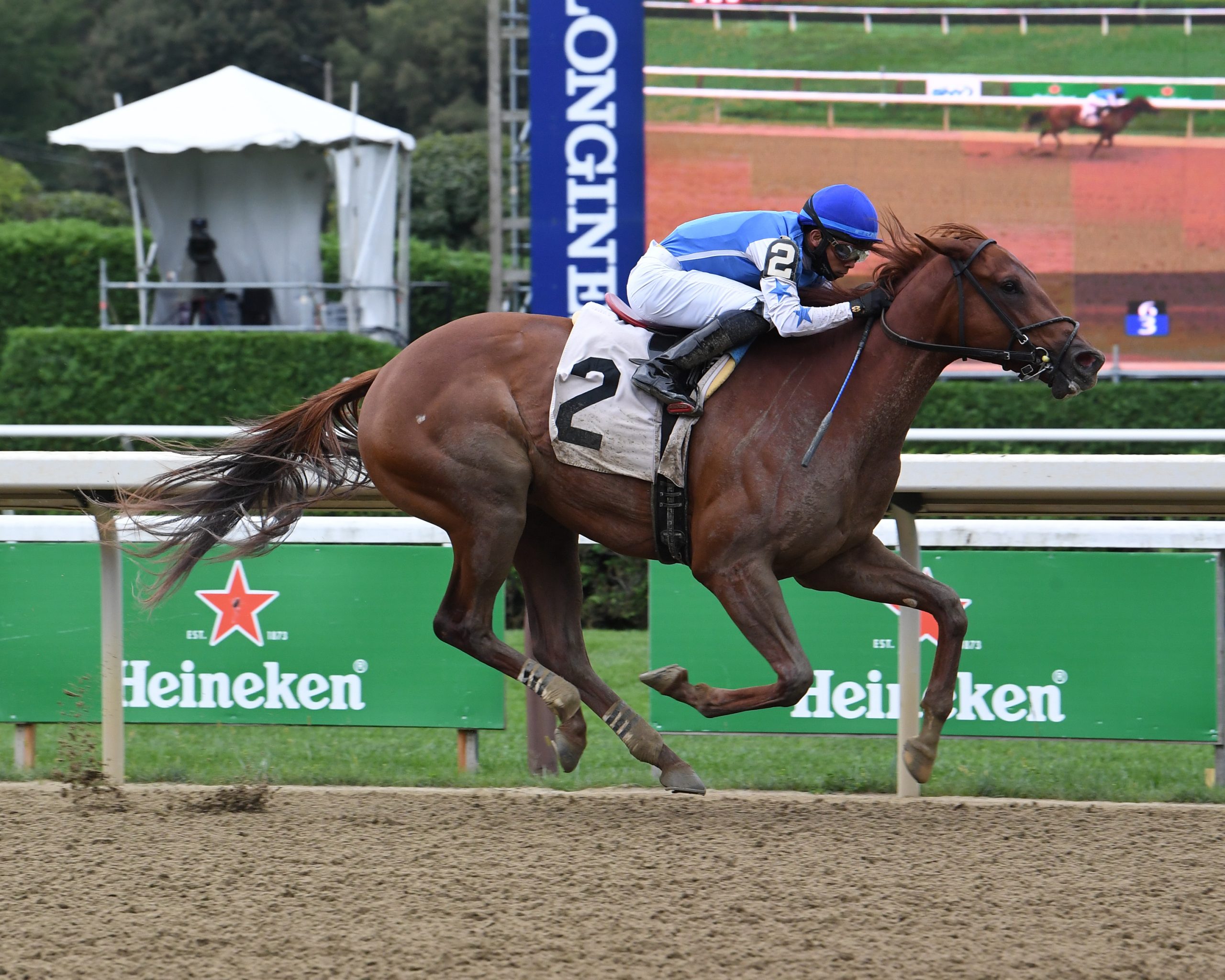 Morning Matcha, Magic Circle headline $100K Busanda - Past The Wire