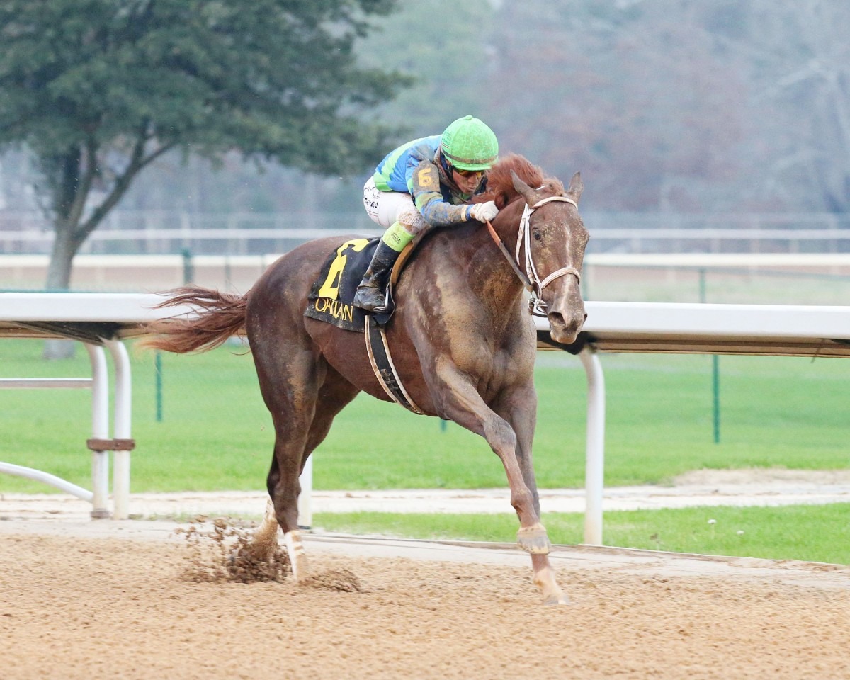 Impressive Winner Secret Oath Following A Family Tradition - Past The Wire