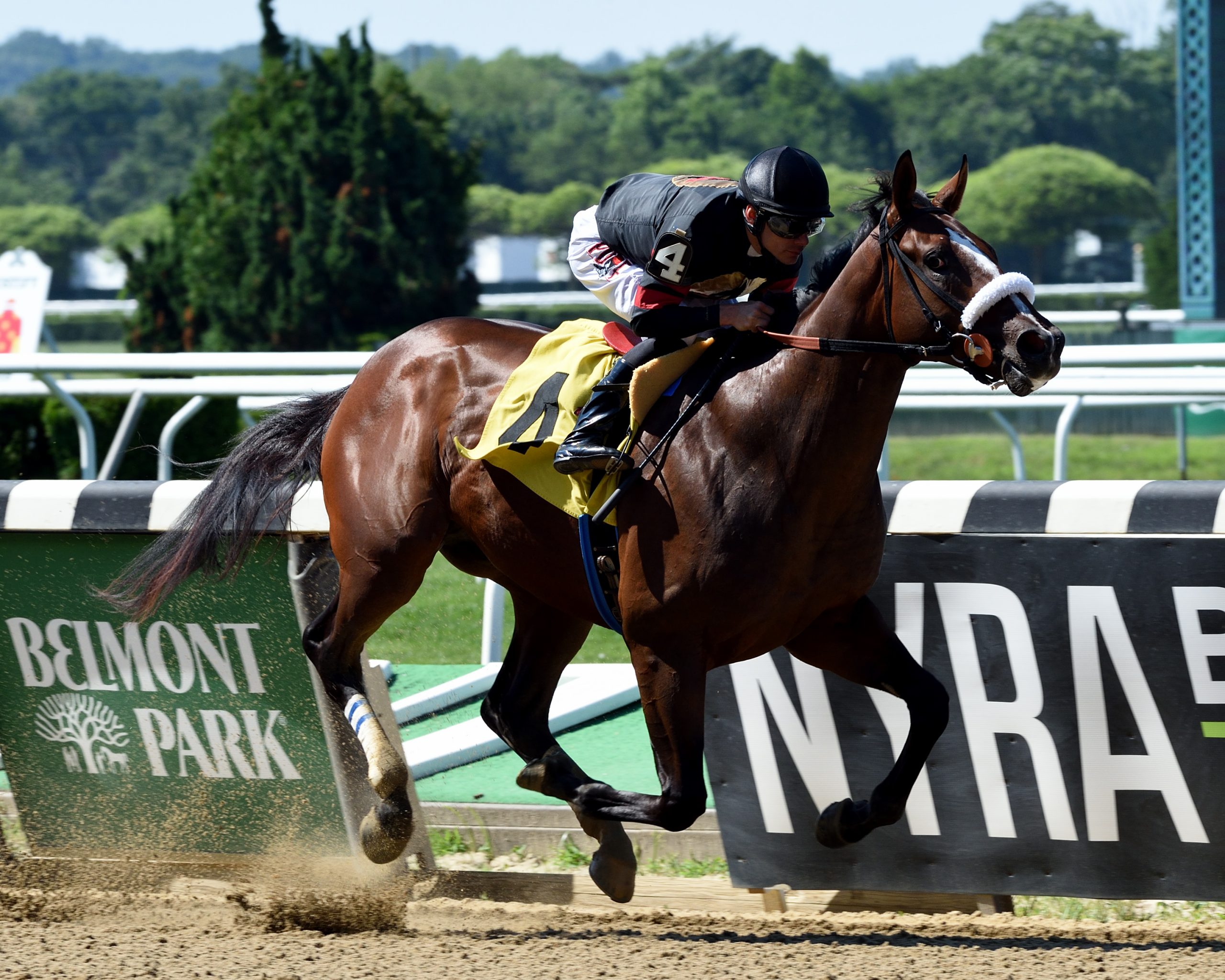Green Light Go returns rejuvenated for the Stymie - Past The Wire