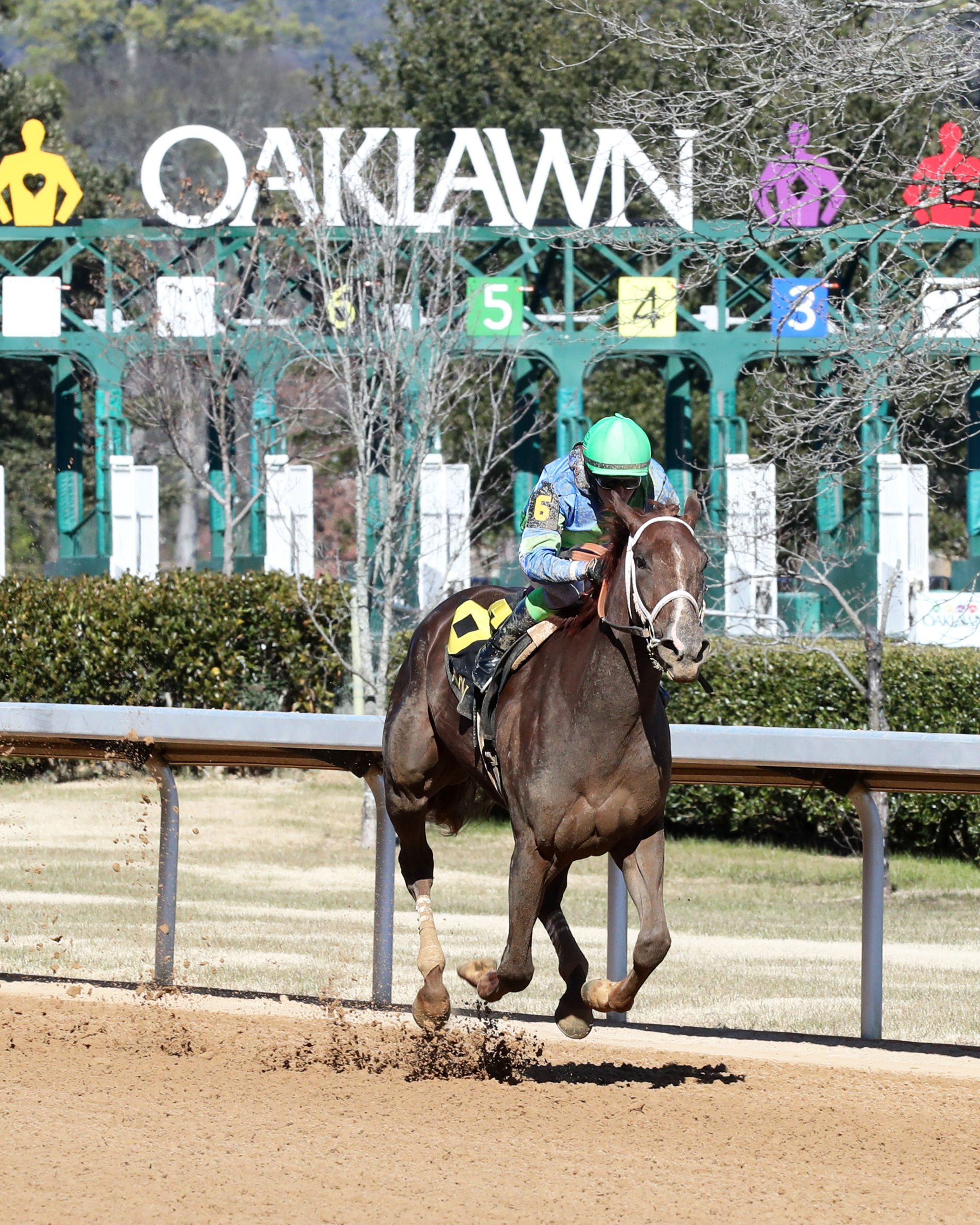 Secret Oath the heavy favorite in the Honeybee - Past The Wire