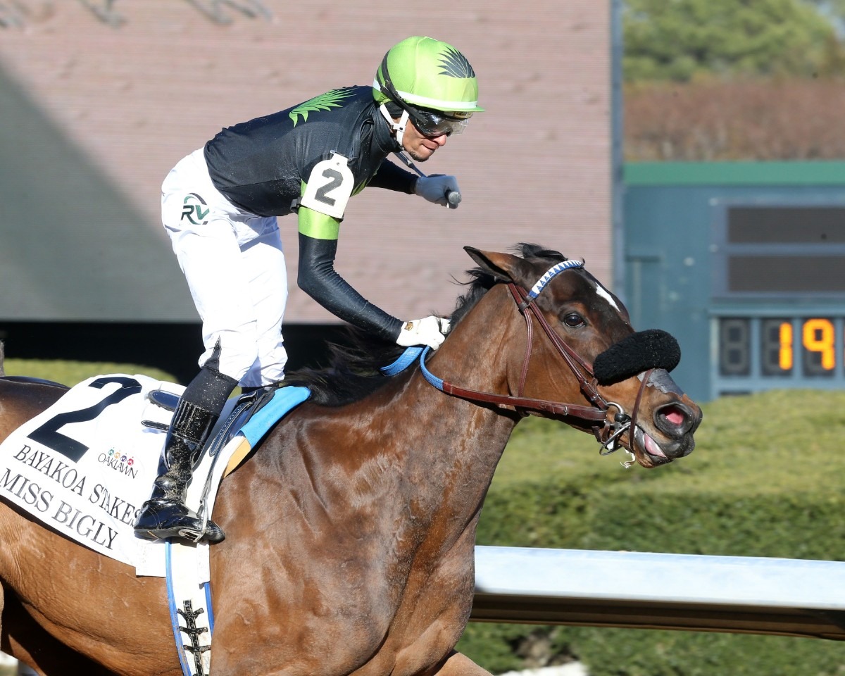 Miss Bigley turns the tables on Coach in Bayakoa - Past The Wire