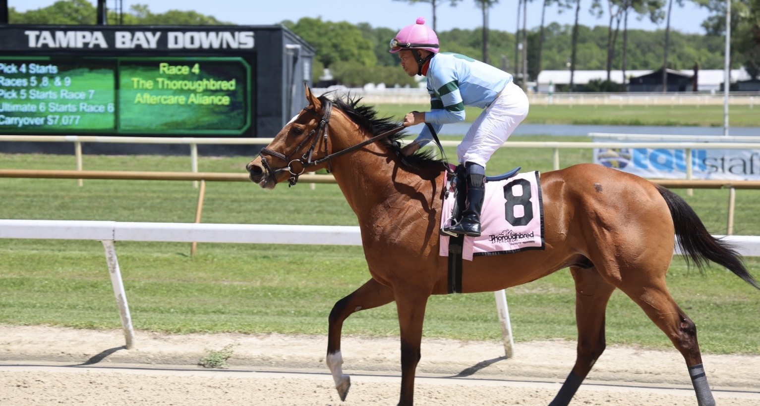 TAA Prominent on Florida Cup Day at Tampa Bay Downs - Past The Wire
