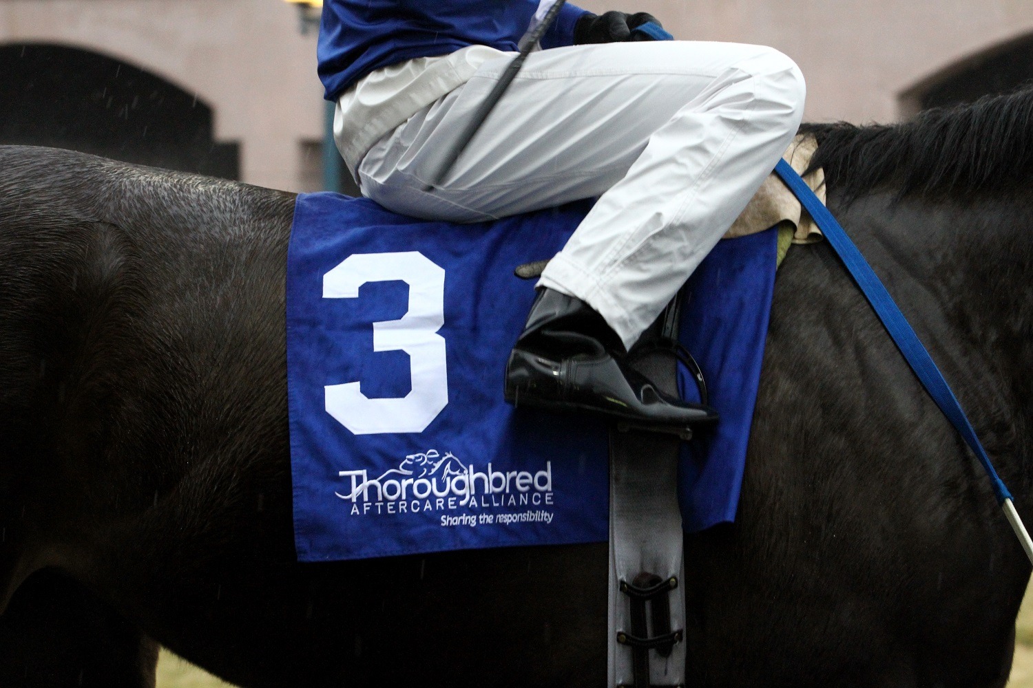 TAA Represented on Jeff Ruby Steaks Day - Past The Wire