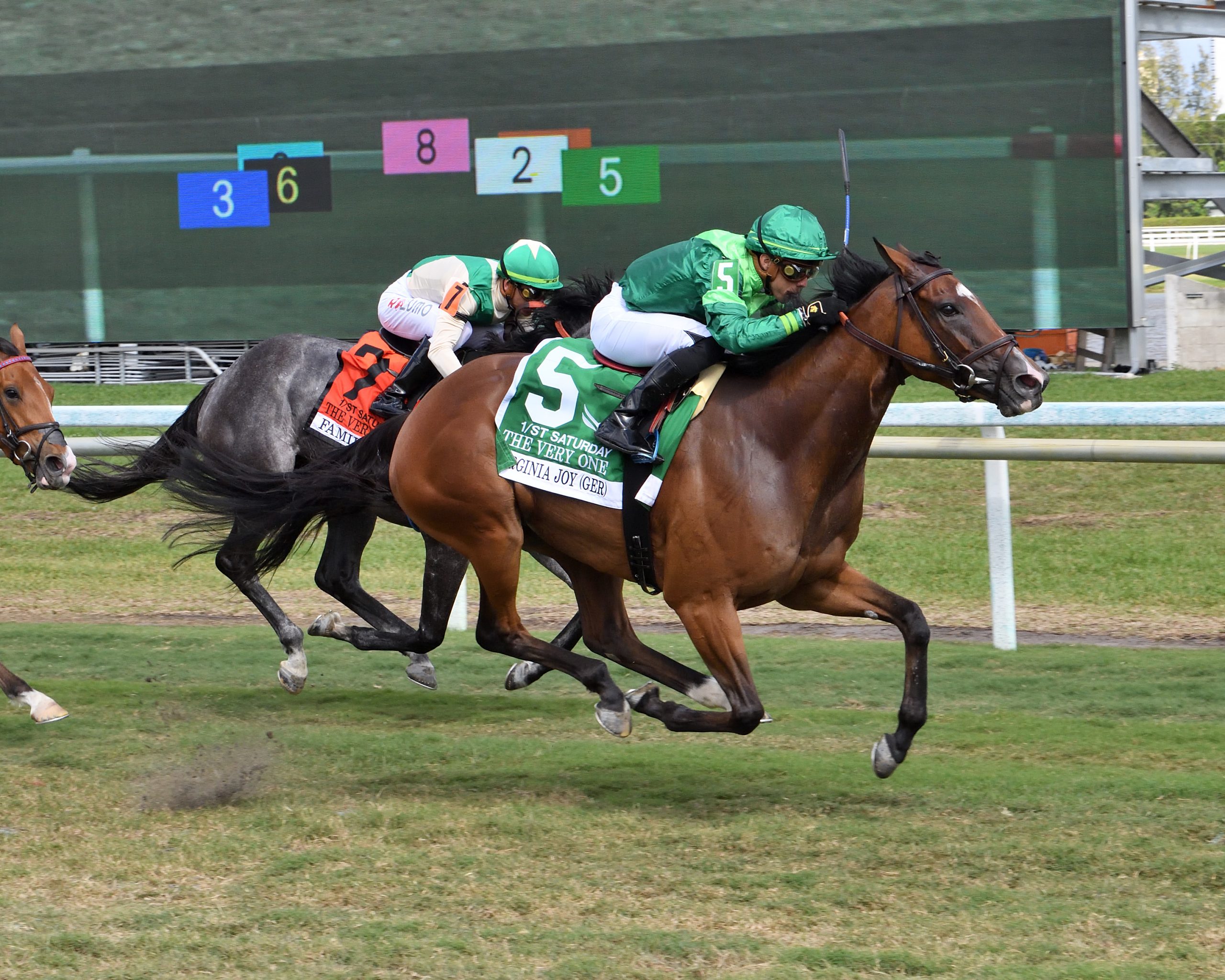 Virginia Joy captures first U.S. stakes win in The Very One - Past The Wire