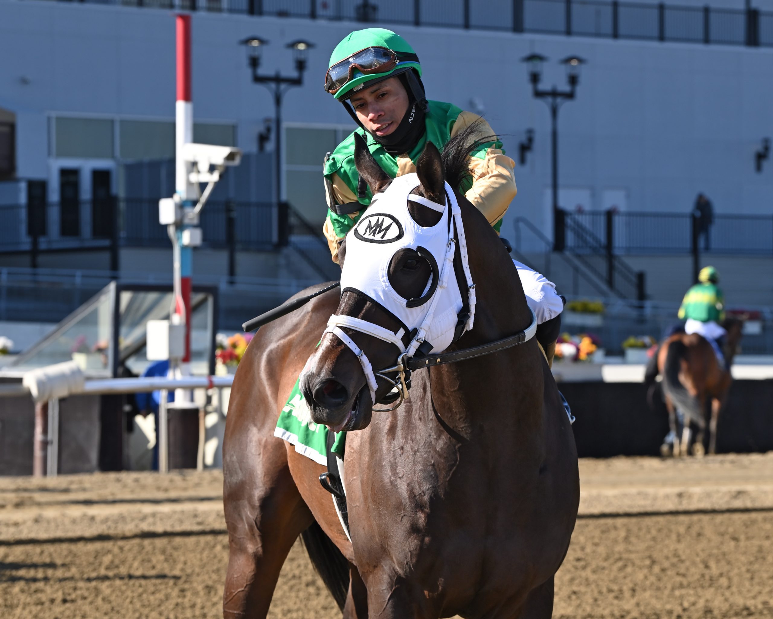 Rotknee collects first stakes victory in $100K Damon Runyon - Past The Wire