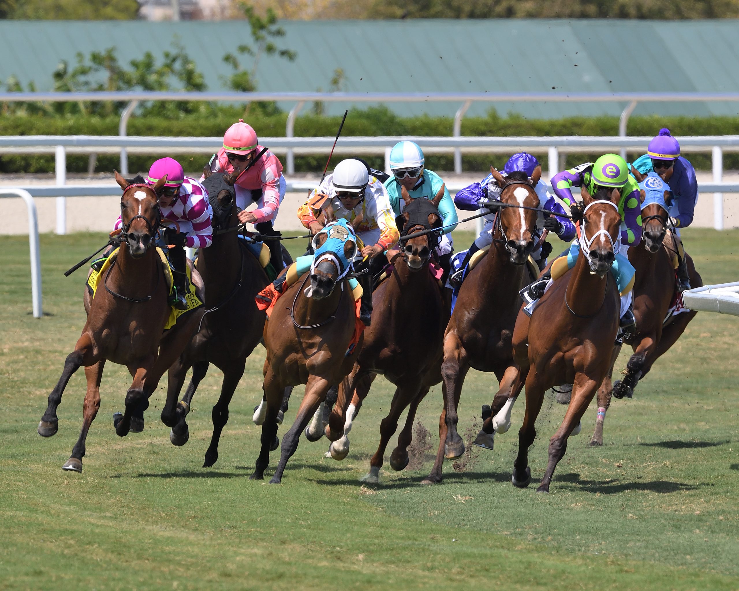 Crystal Cliffs Surges to with the $100,000 Sand Springs - Past The Wire