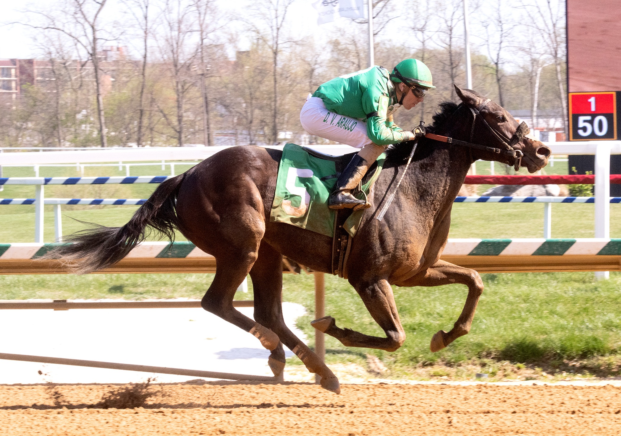 Luna Belle gets five straight with Weber City Miss victory - Past The Wire