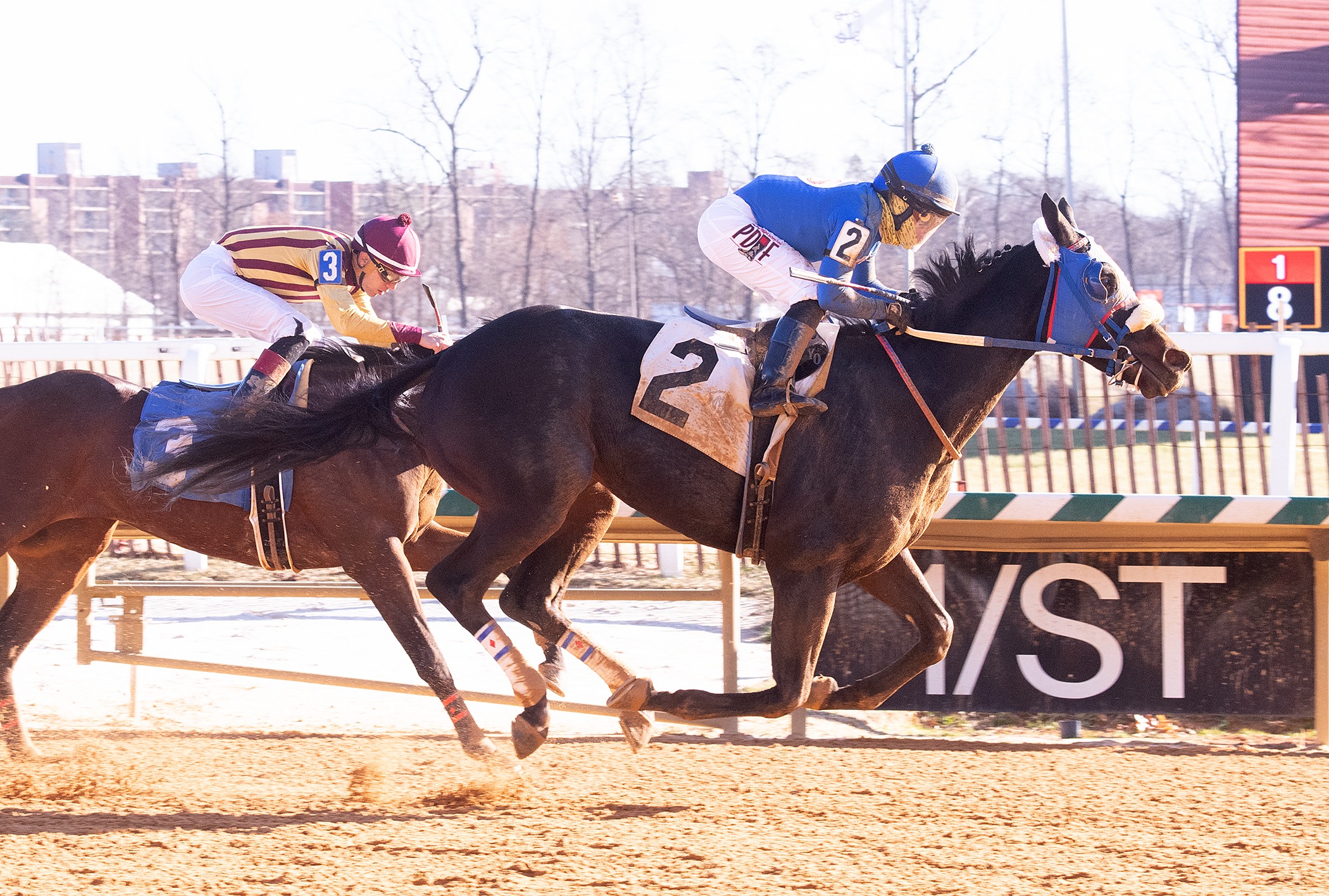 Preakness (G1), Turf Stakes Among Options for Shake Em Loose - Past The ...