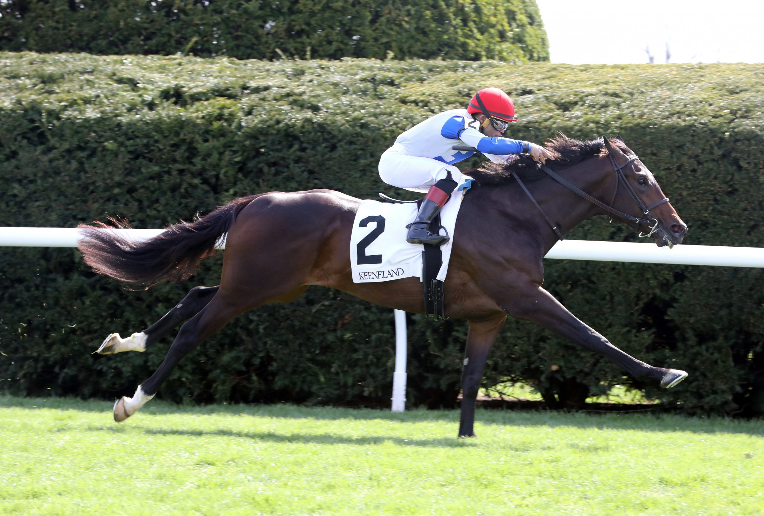 Slipstream surges past Twilight Gleaming to win Palisades - Past The Wire