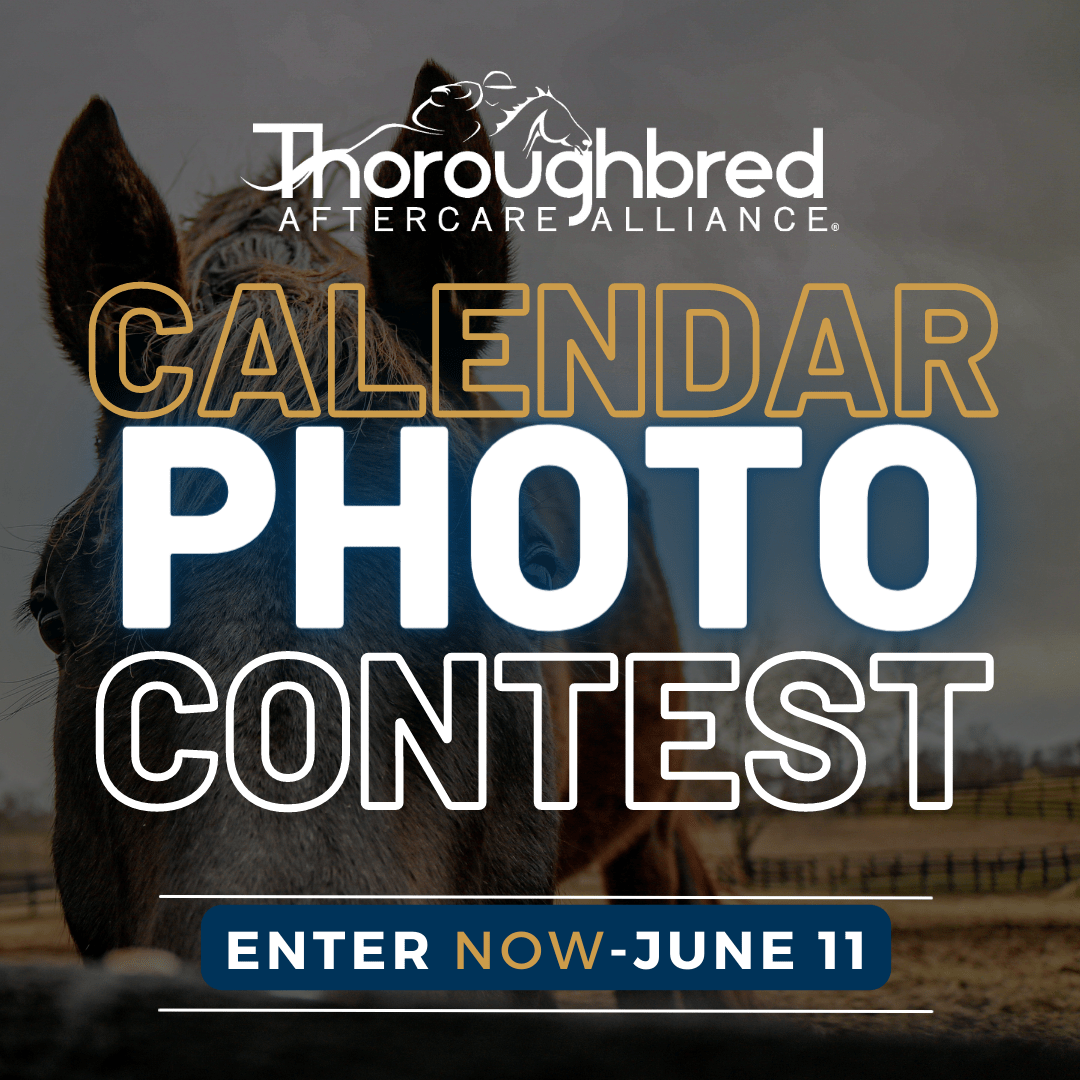TAA Launches Second Annual Calendar Photo Contest - Past The Wire