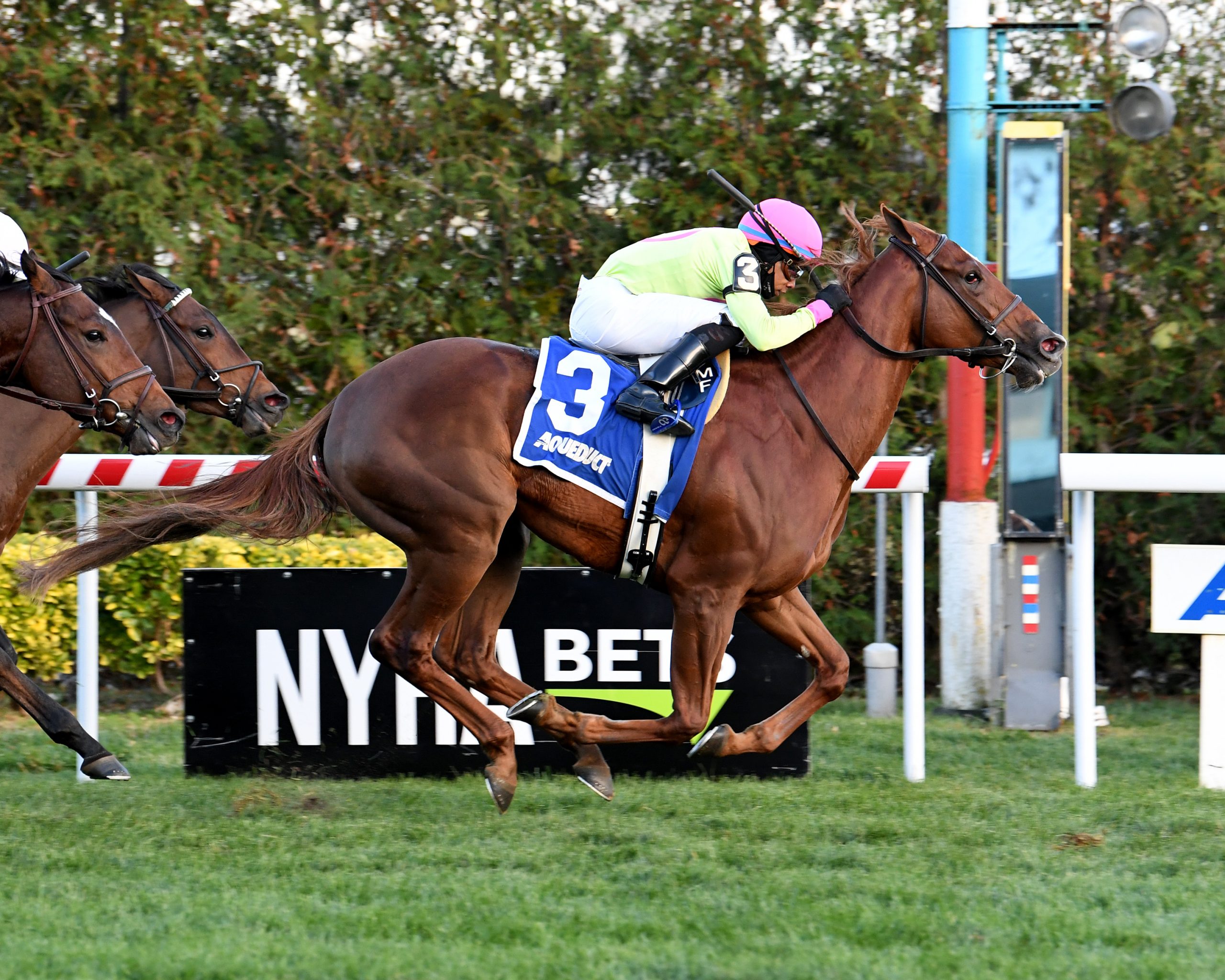 G2 winner Plum Ali returns in Plenty of Grace - Past The Wire