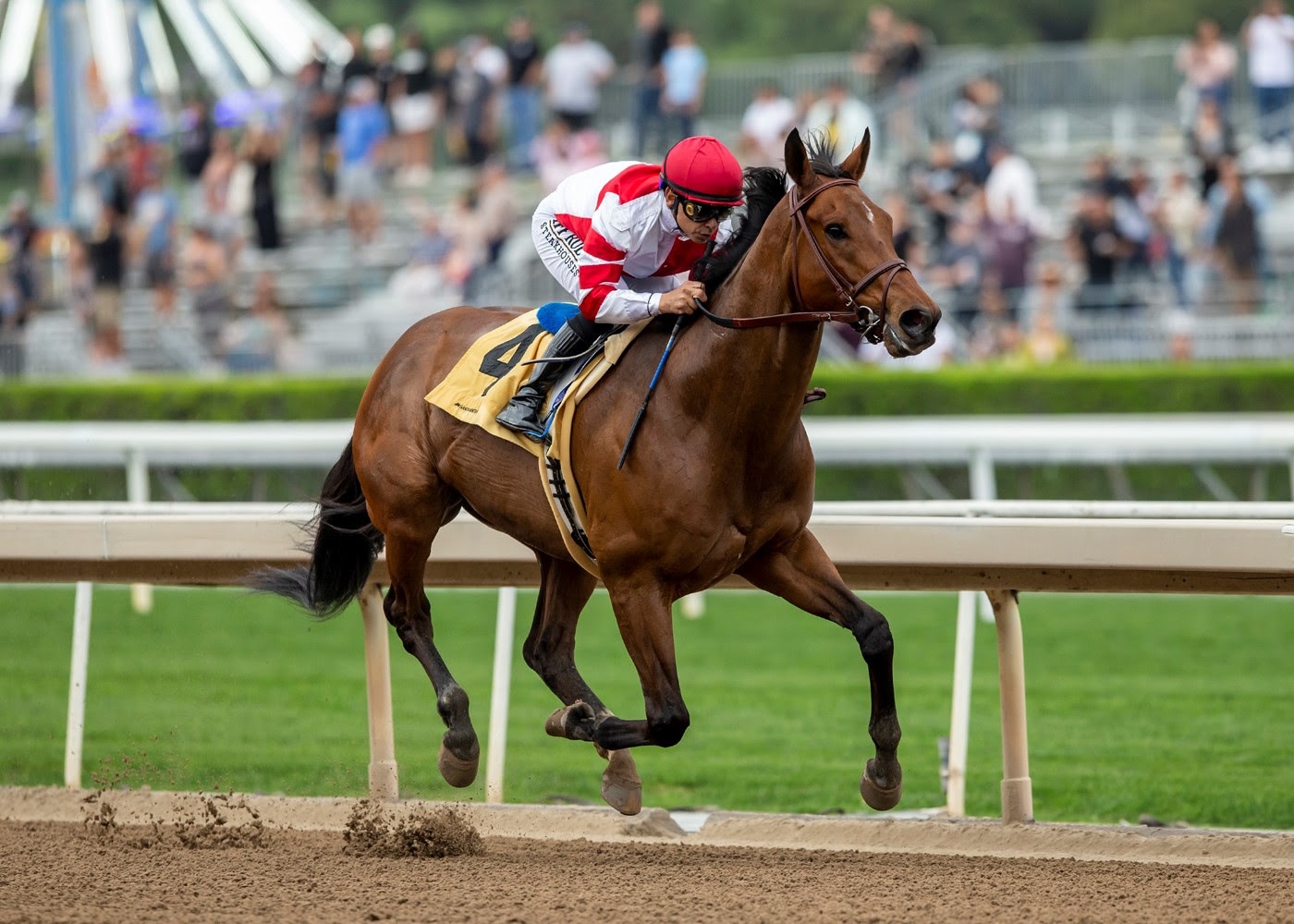 Mandella’s Classy Brazilian-Bred Royal Ship Comes Off Bench To Take ...