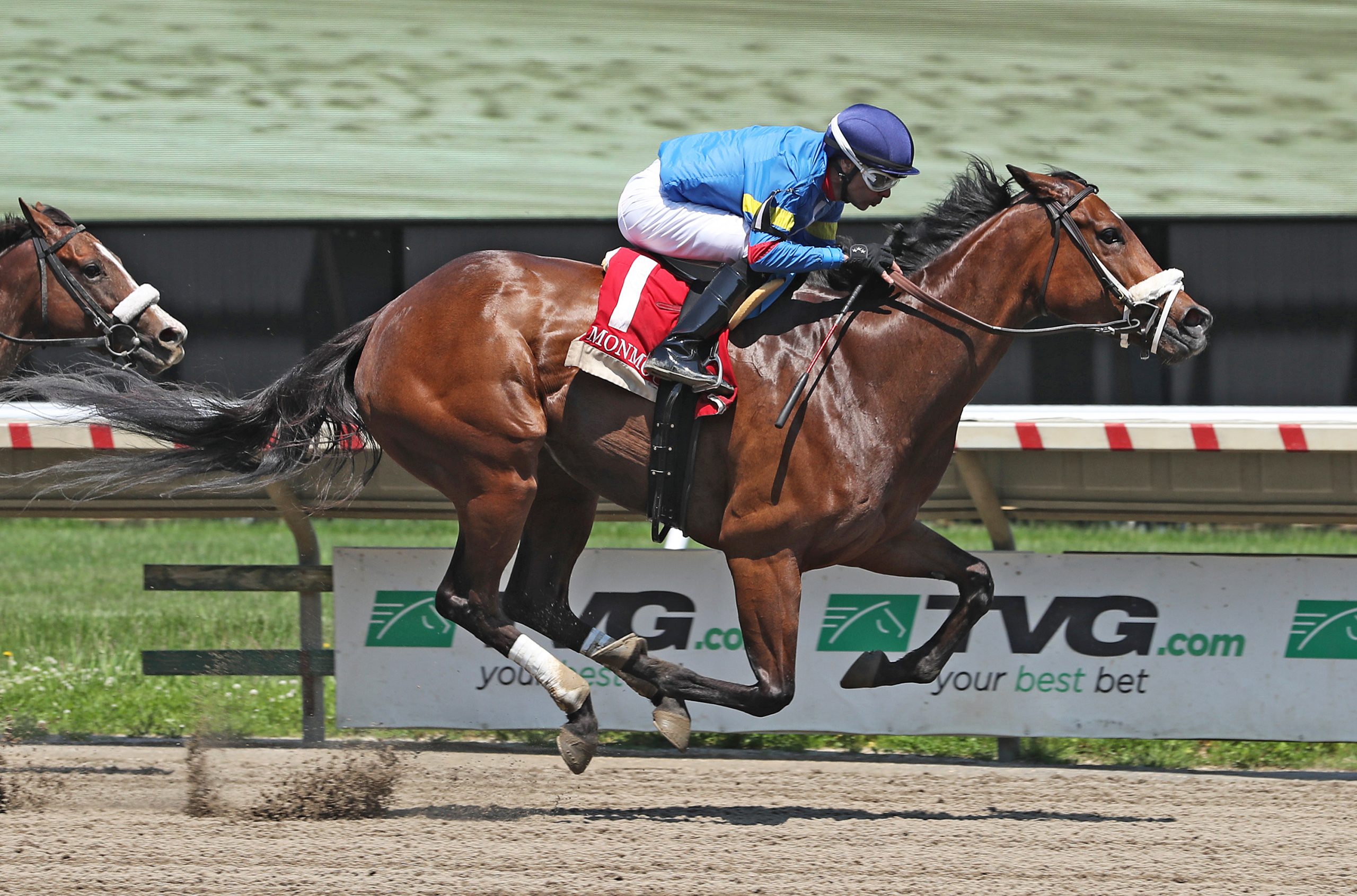 Robin Sparkles zips to Victory in Politely Stakes - Past The Wire