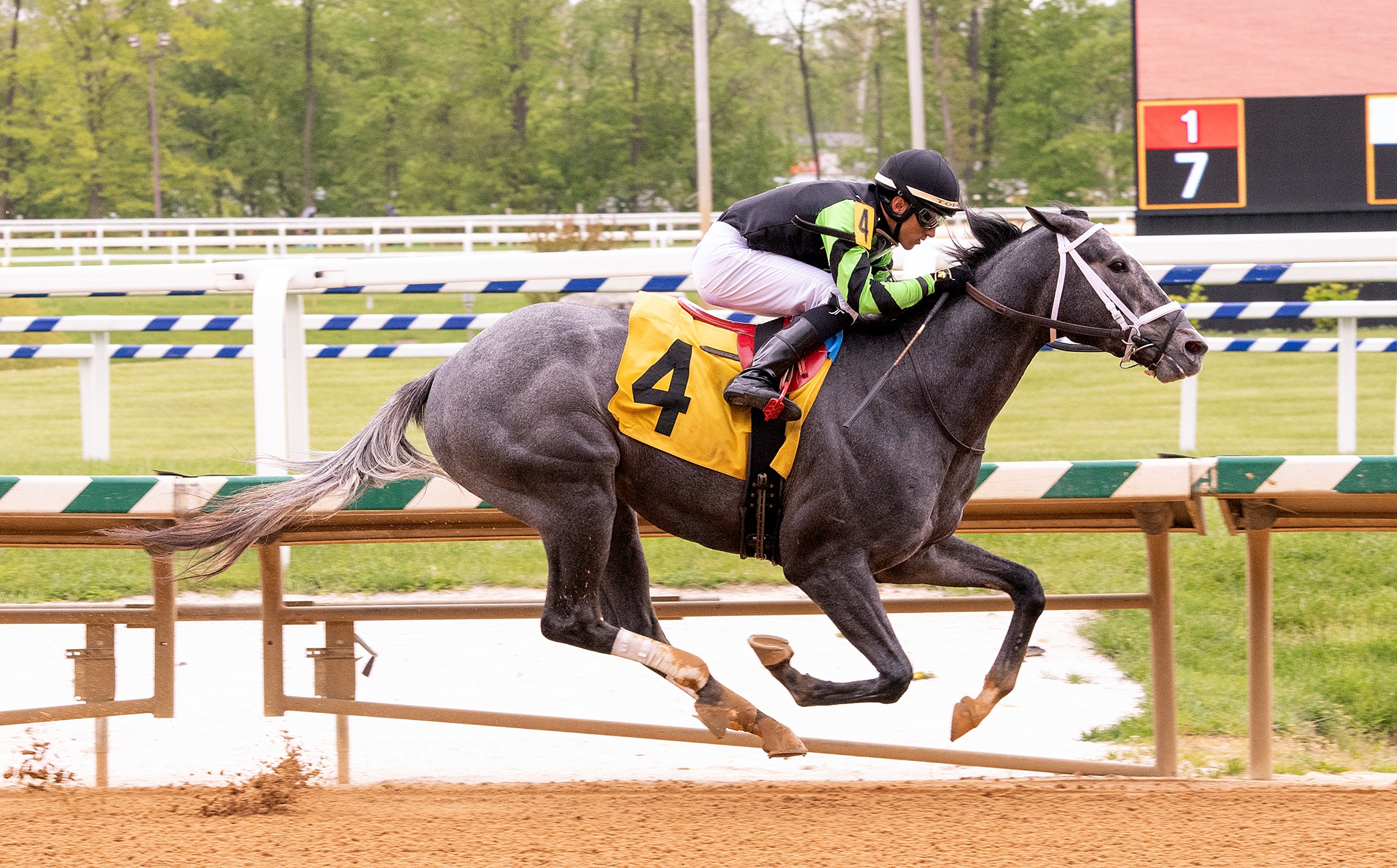 Sugar Gray Leonard Delivers Knockout for Maiden Triumph - Past The Wire