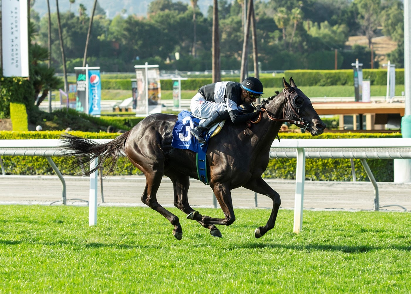 Canoodling Dictates Pace In GIII Wilshire Stakes Win - Past The Wire