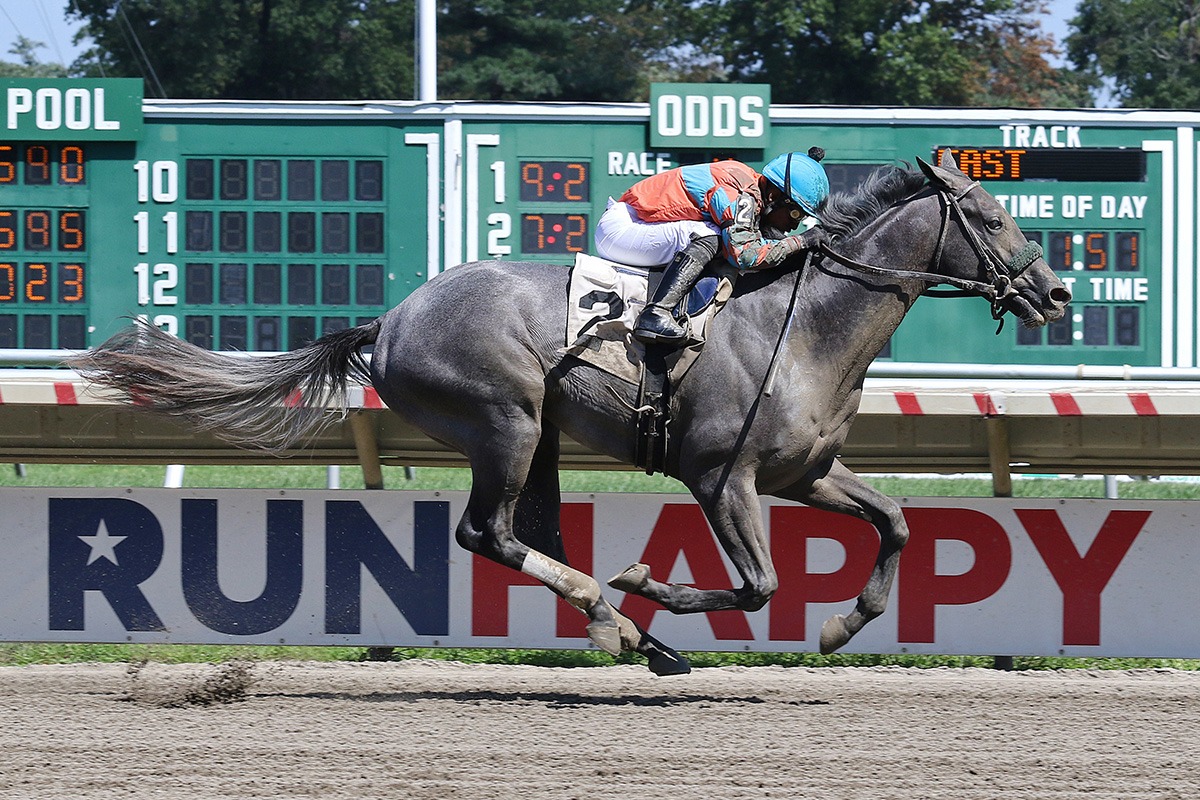 Affable Monarch Gets First Turf Test In Tale Of The Cat - Past The Wire