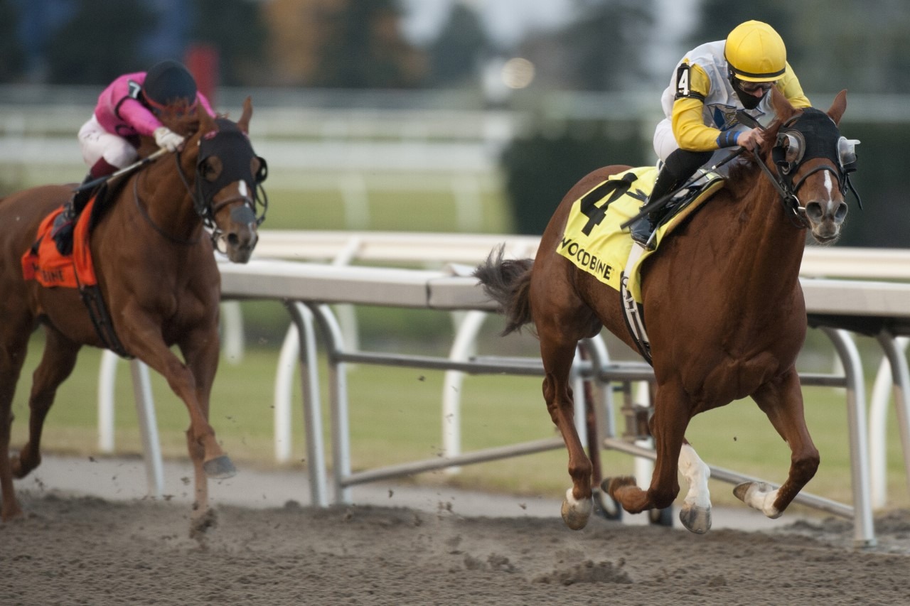Stakes superfecta showcase set for star-stacked Saturday Woodbine card ...
