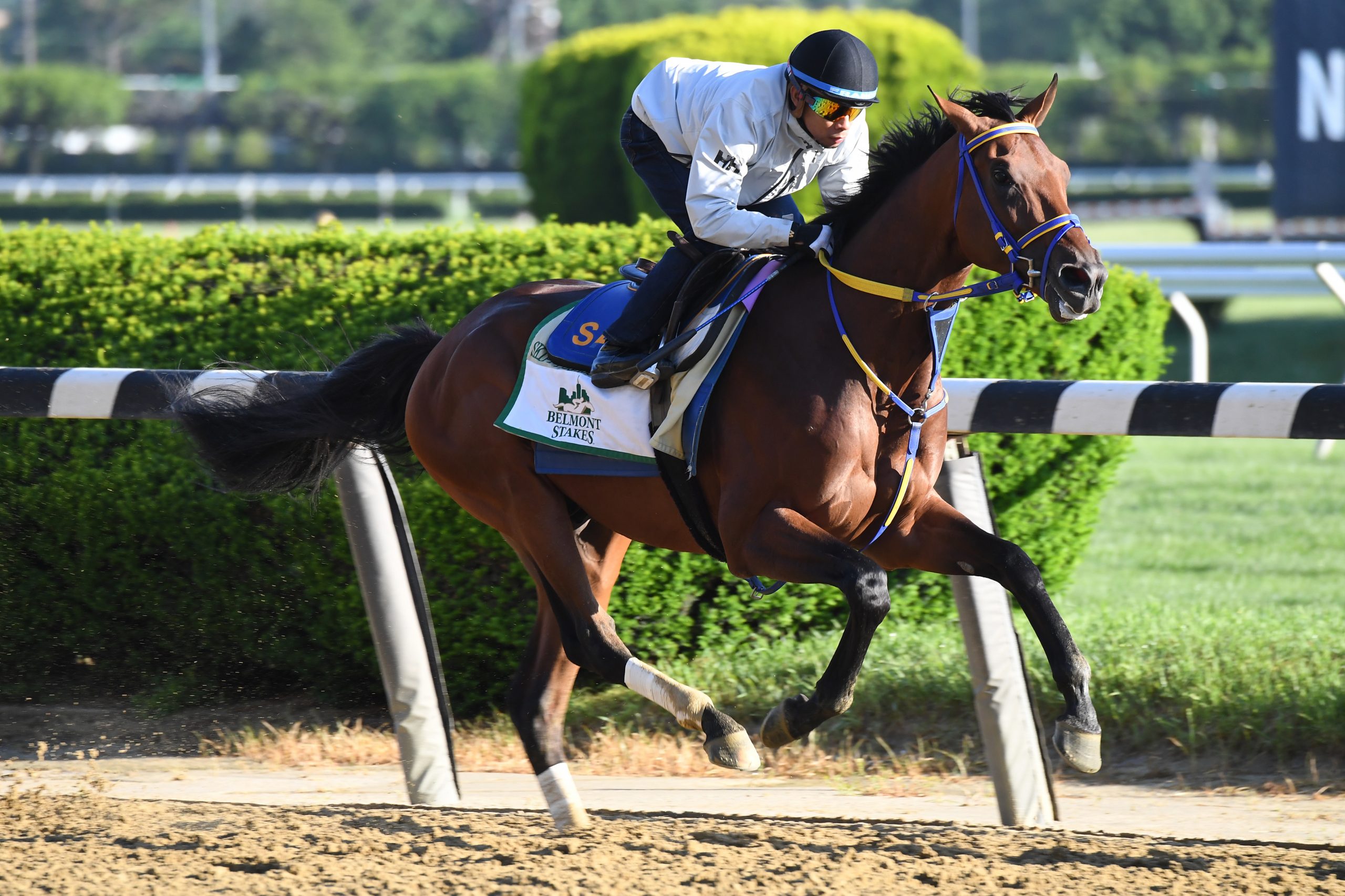 Skippylongstocking could give Joseph, Jr. first American classic - Past ...