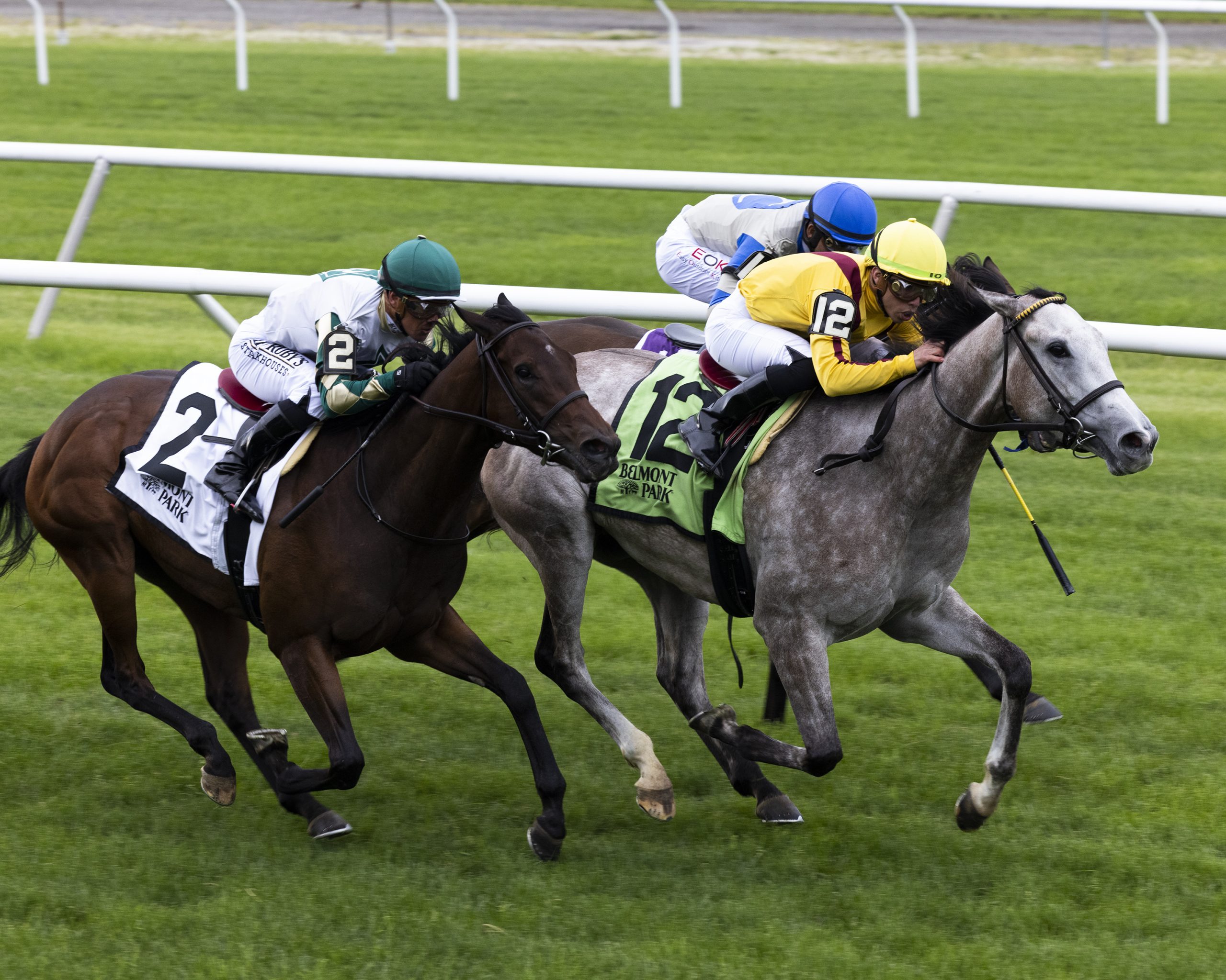 Breeze Easy seeks affirmation in $100K Wild Applause - Past The Wire