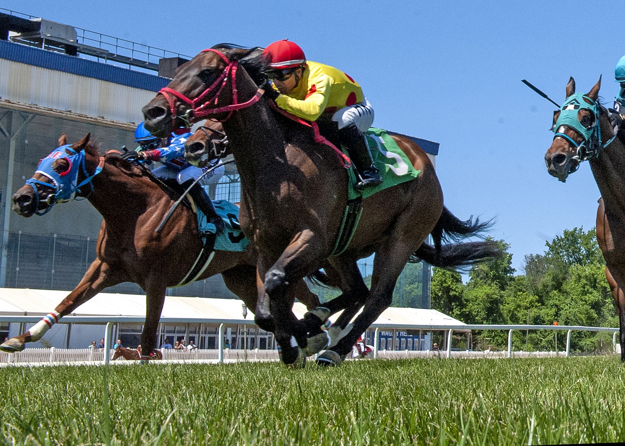 Nick Papagiorgio Redeems with 13-1 Upset in the Find - Past The Wire