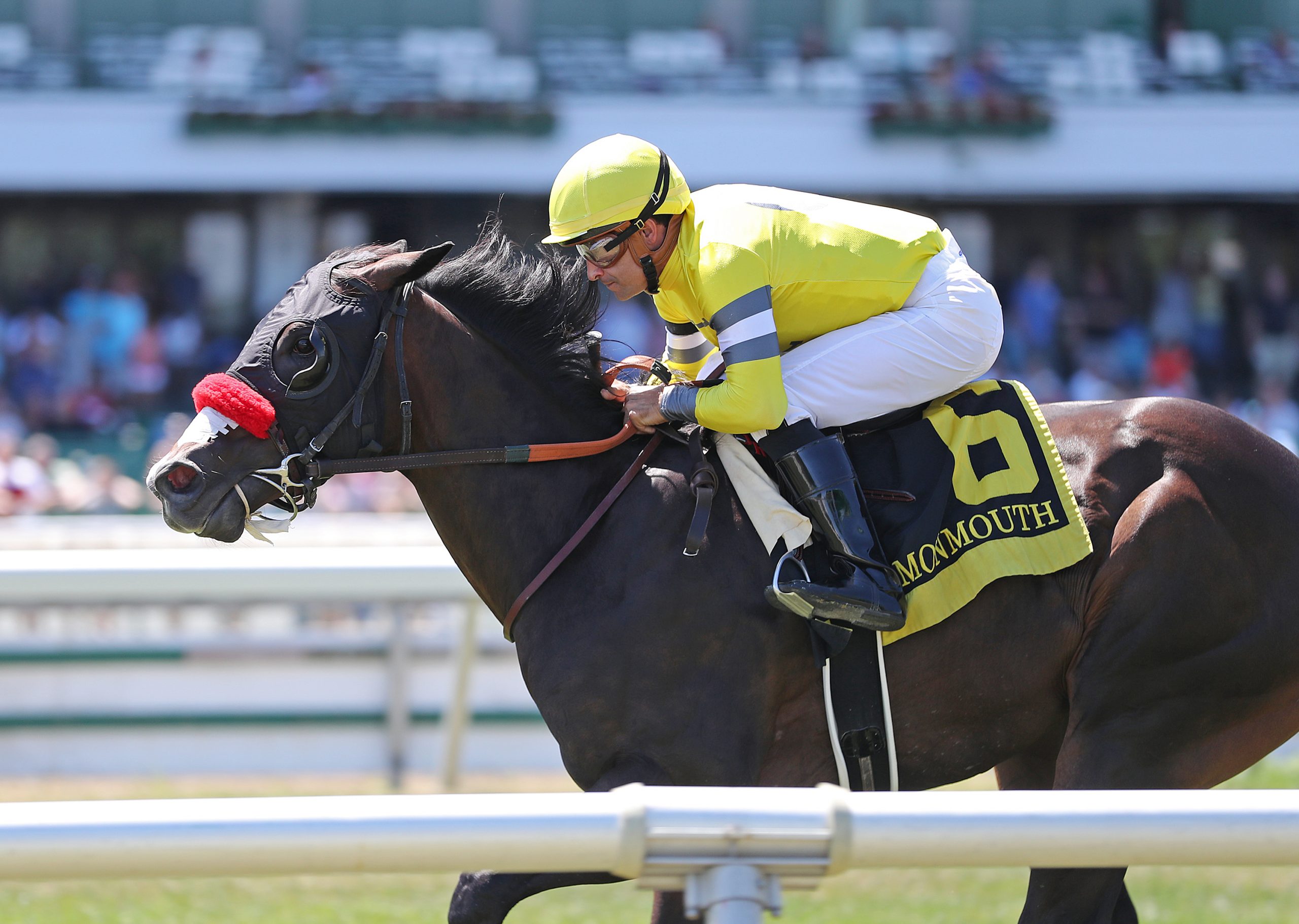 Sharp Aza Tack cuts a winning path in Tyro - Past The Wire