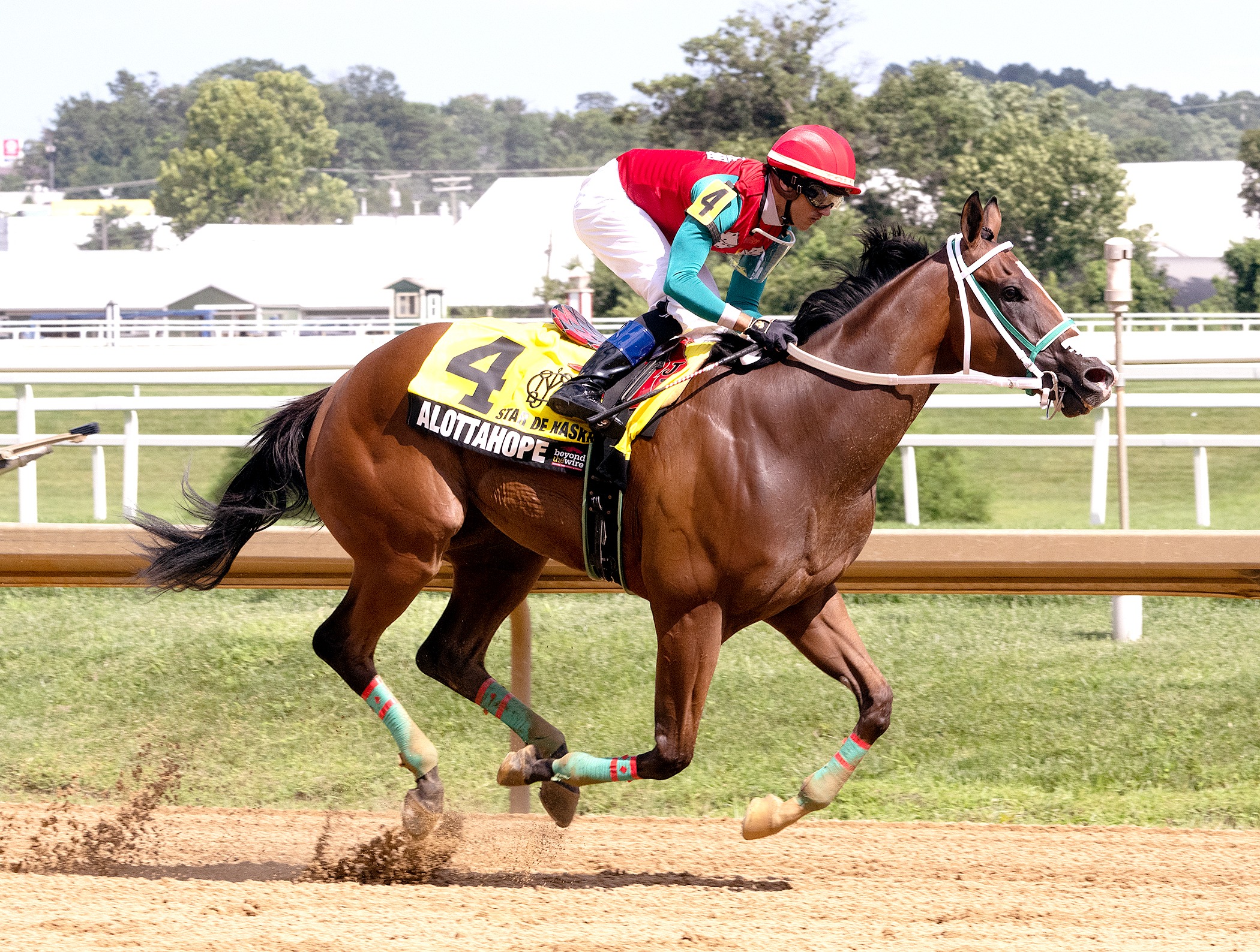 Alottahope Spectacular in Star de Naskra Victory - Past The Wire